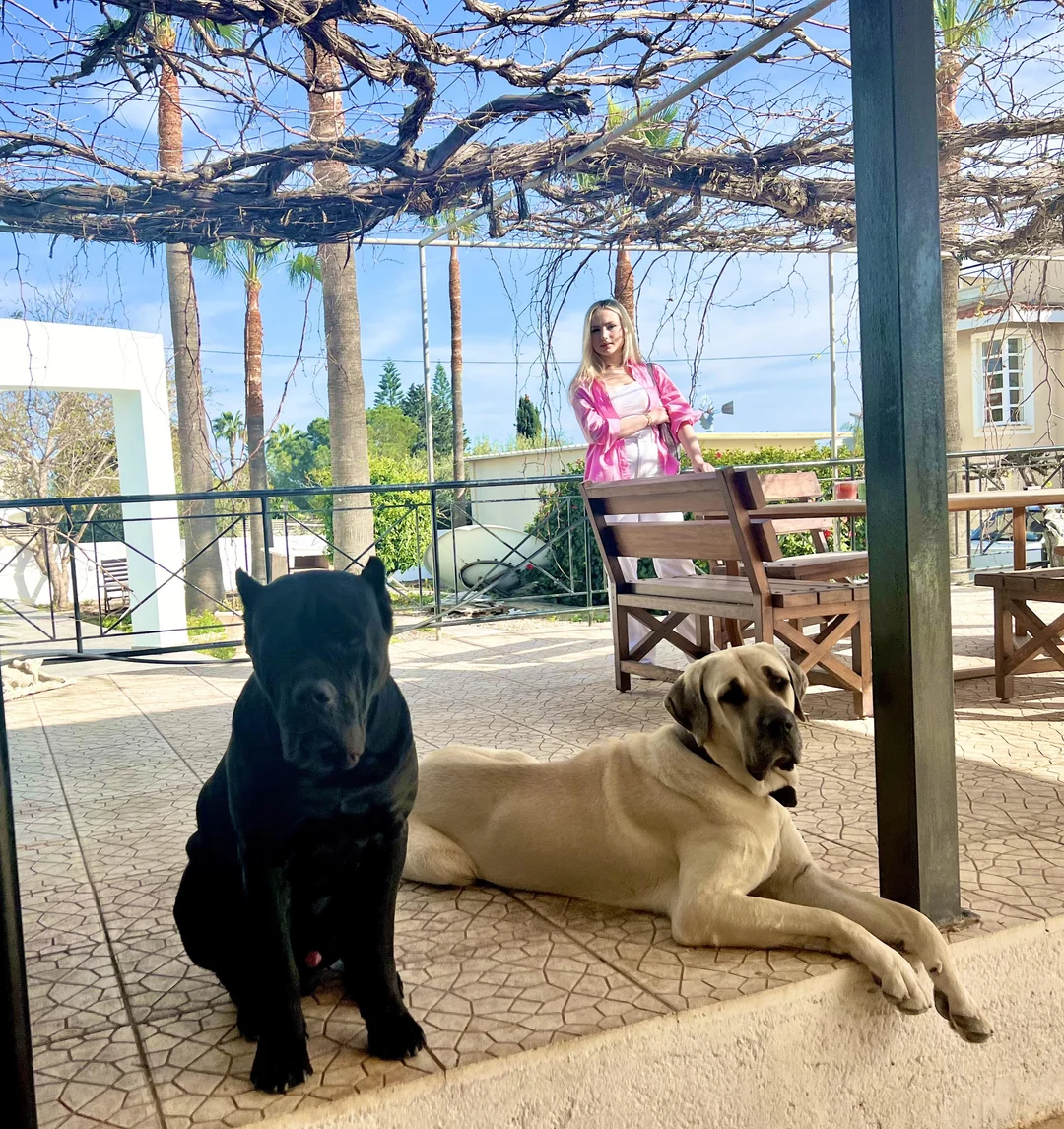 Guess the dog breeds on that picture ☺️🐕‍🦺🦮 | Scrolller