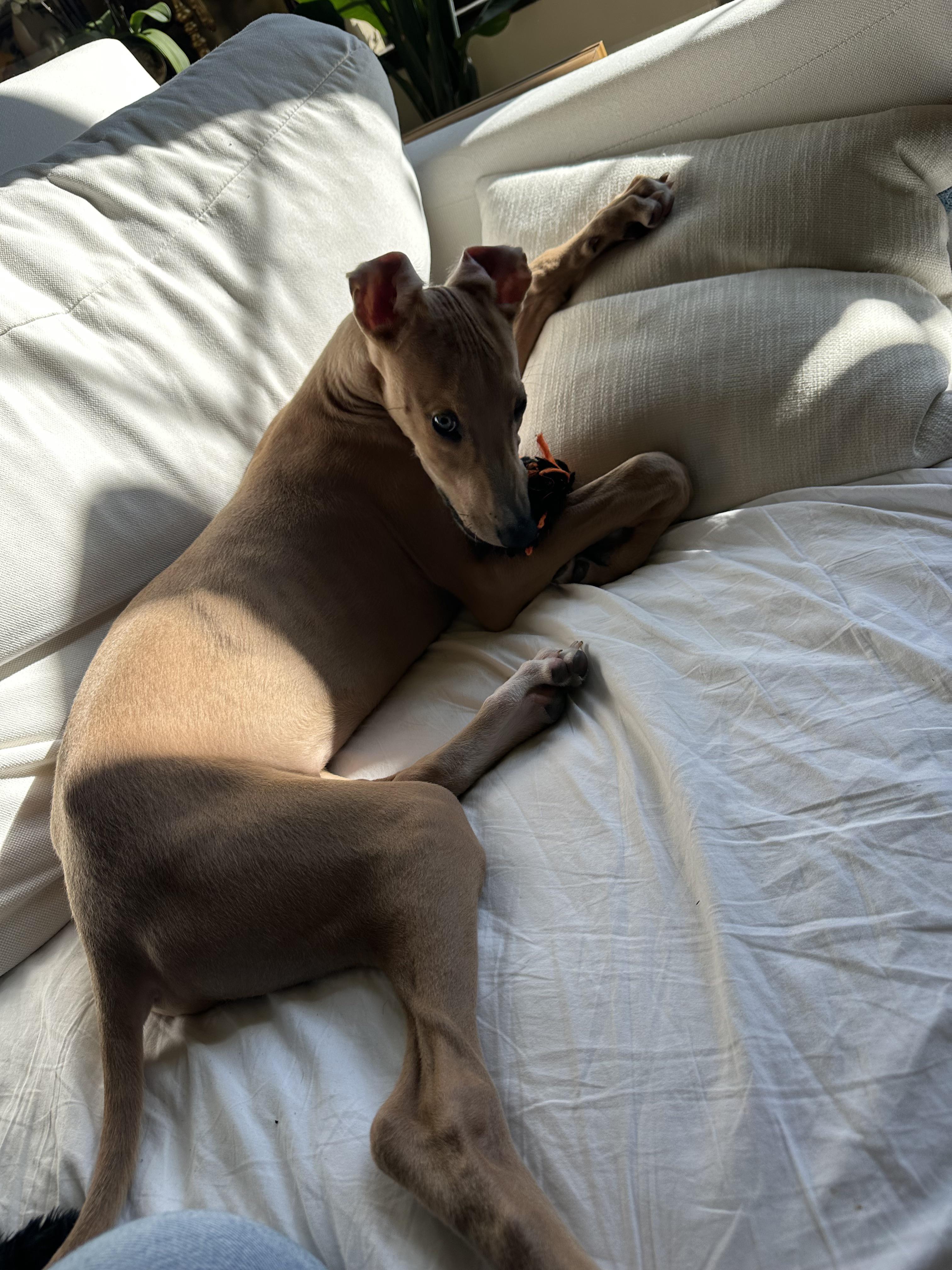 He’s into modeling. | Scrolller