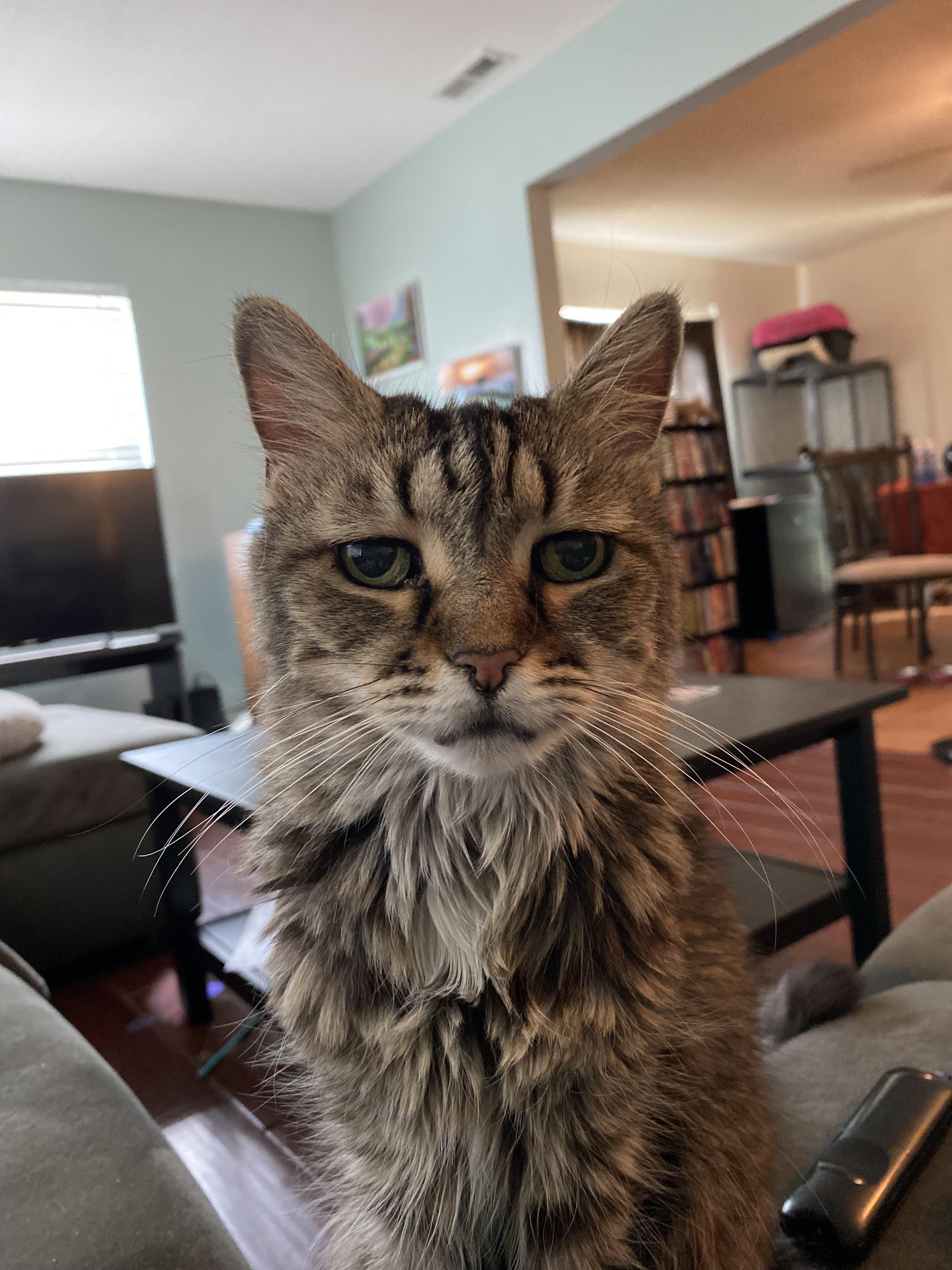 Feed me human | Scrolller