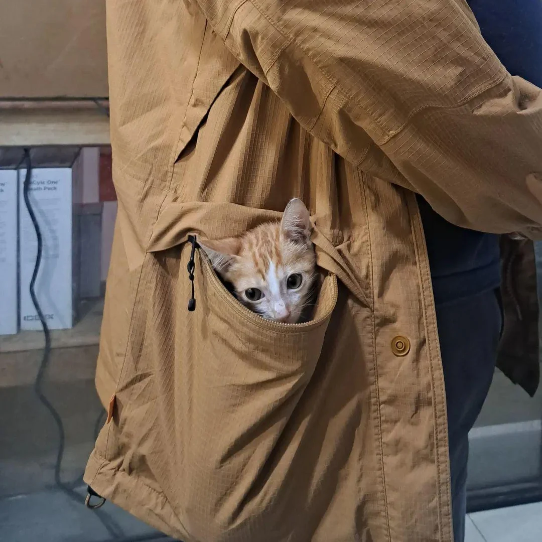 Dobby is fighting dad because the doctor took blood 😂 | Scrolller