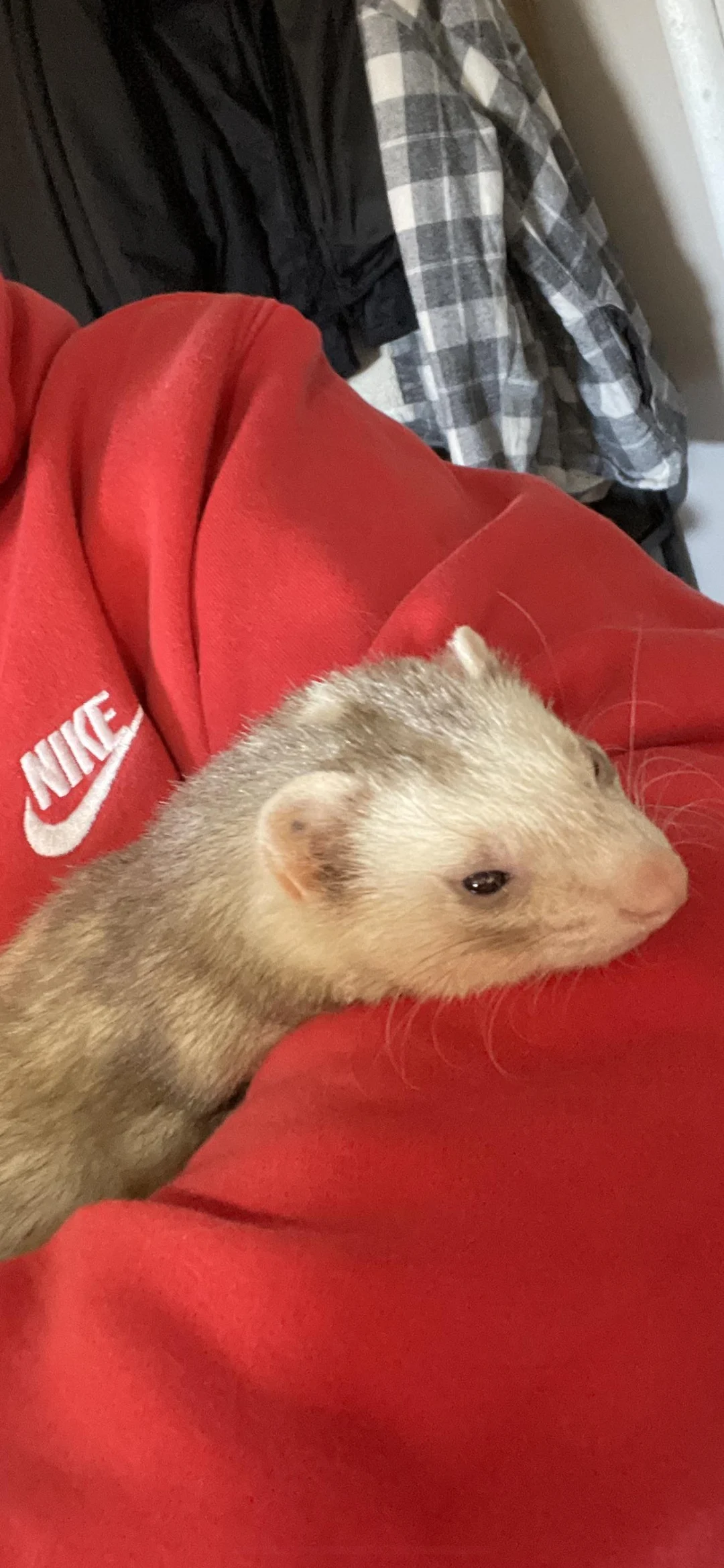 Swollen lumps on Neck | Scrolller