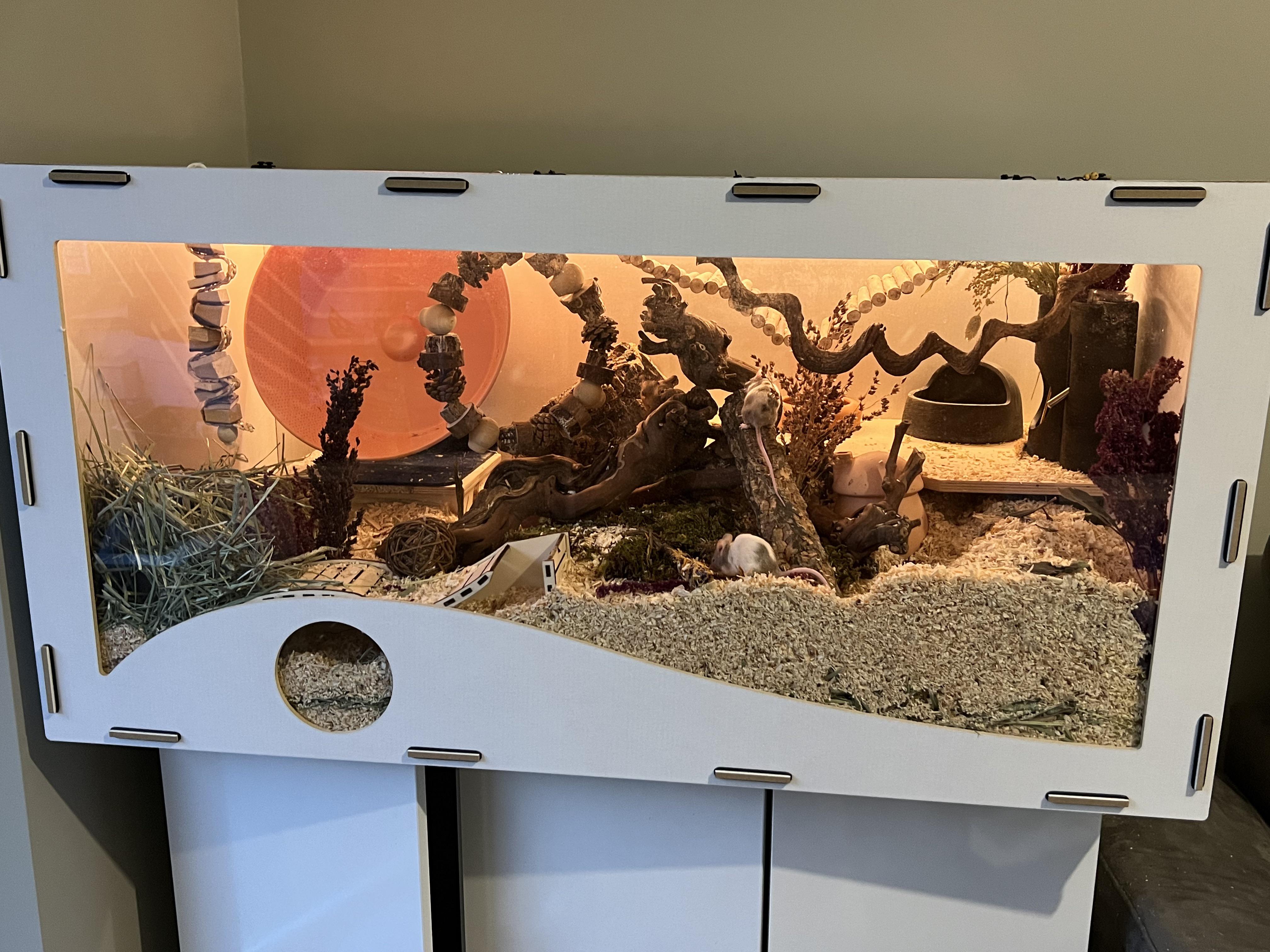 New cage layout 🥰 | Scrolller