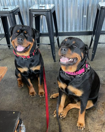 Love to see their smiling faces | Scrolller