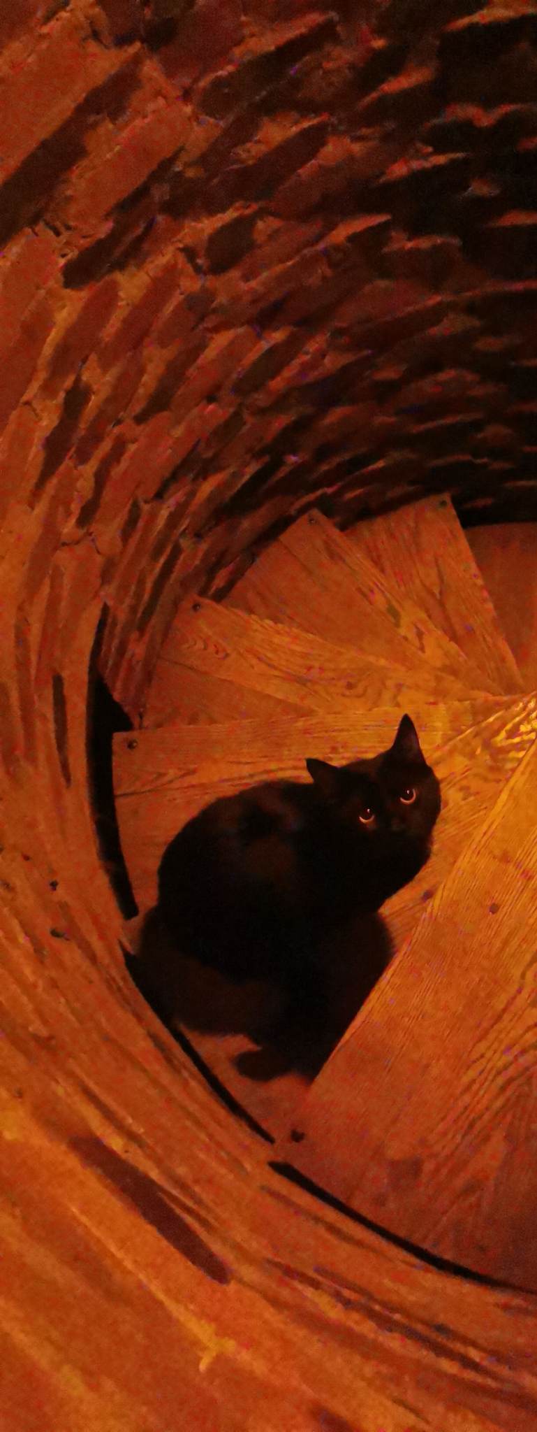 Stair master | Scrolller