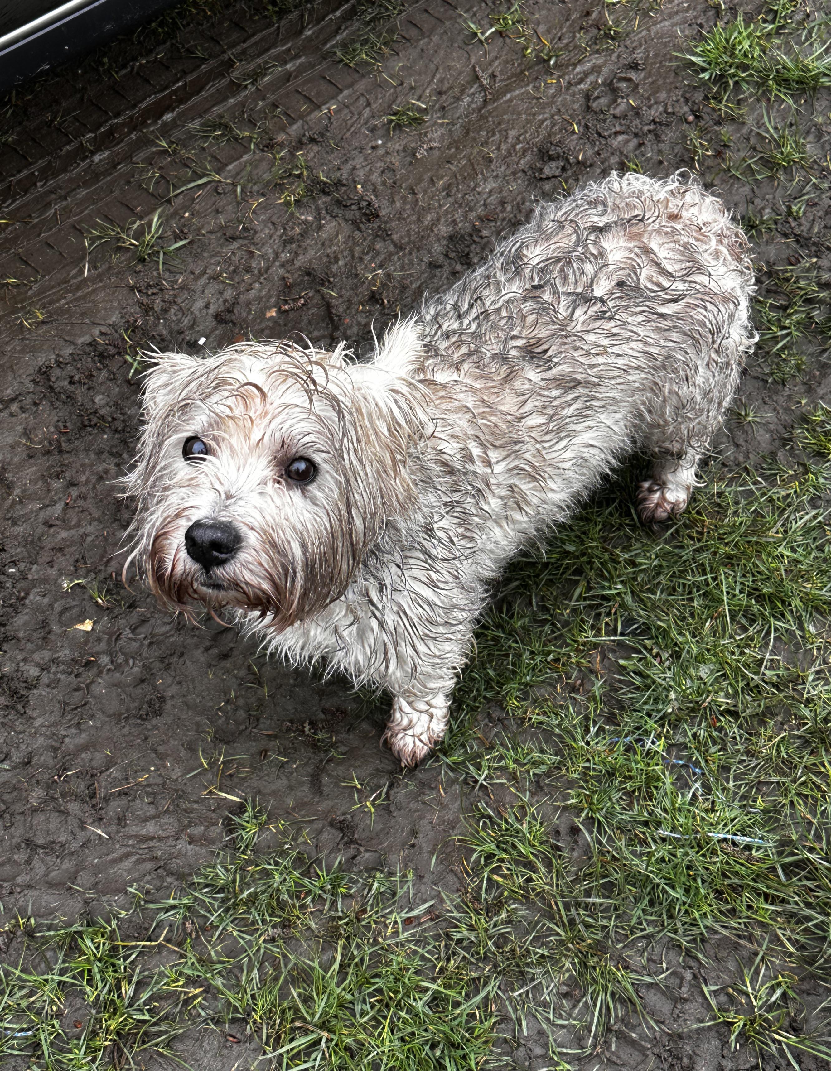 Absolutely filthy as always. | Scrolller