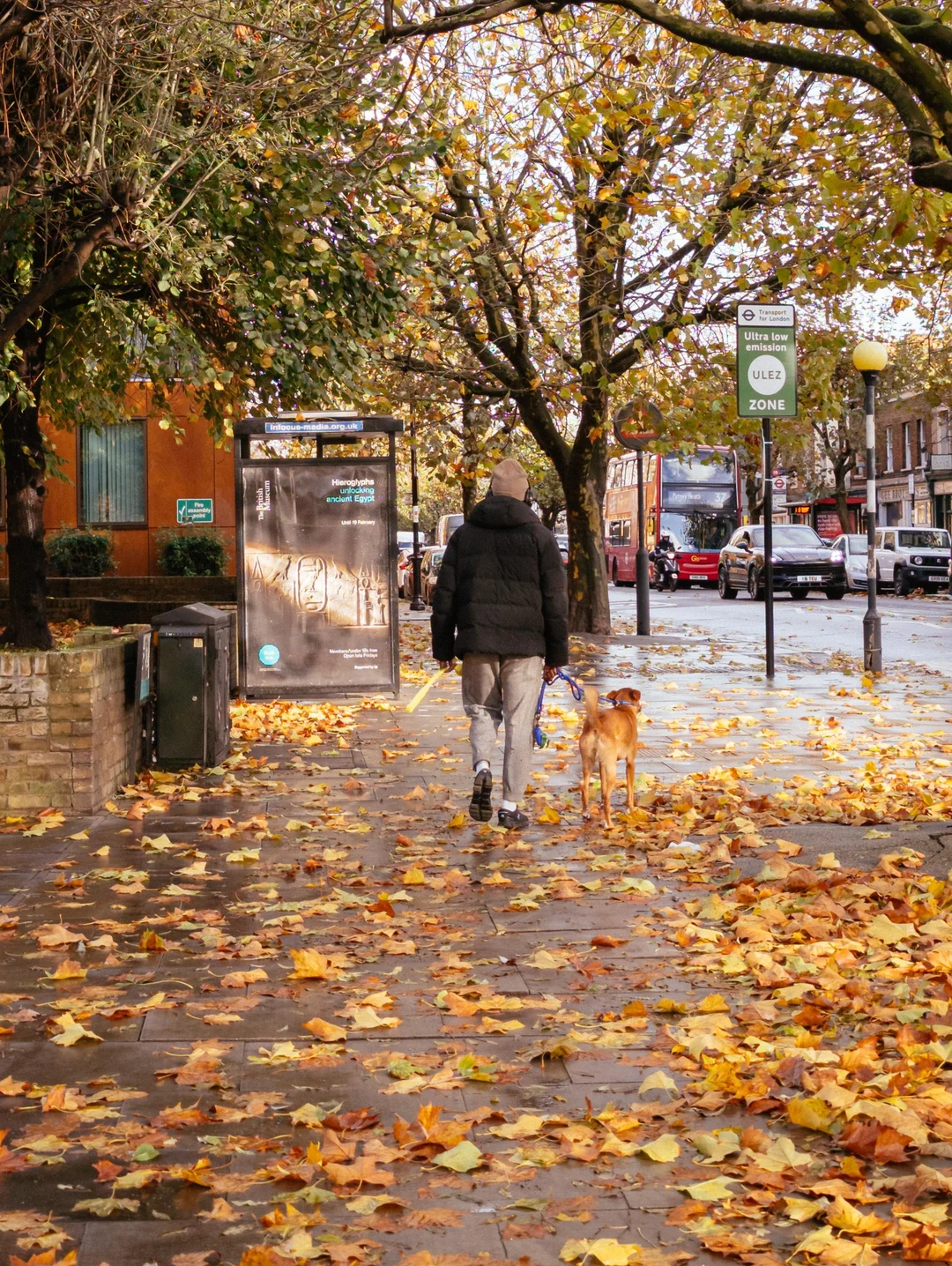 London fall | Scrolller