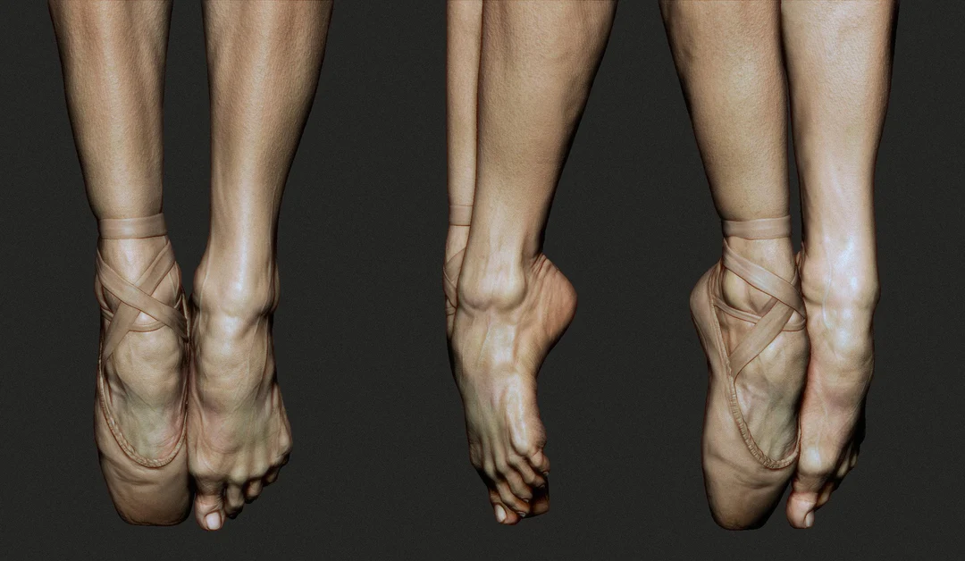 Anatomy Study, Sherif(me), Zbrush, 2024 | Scrolller