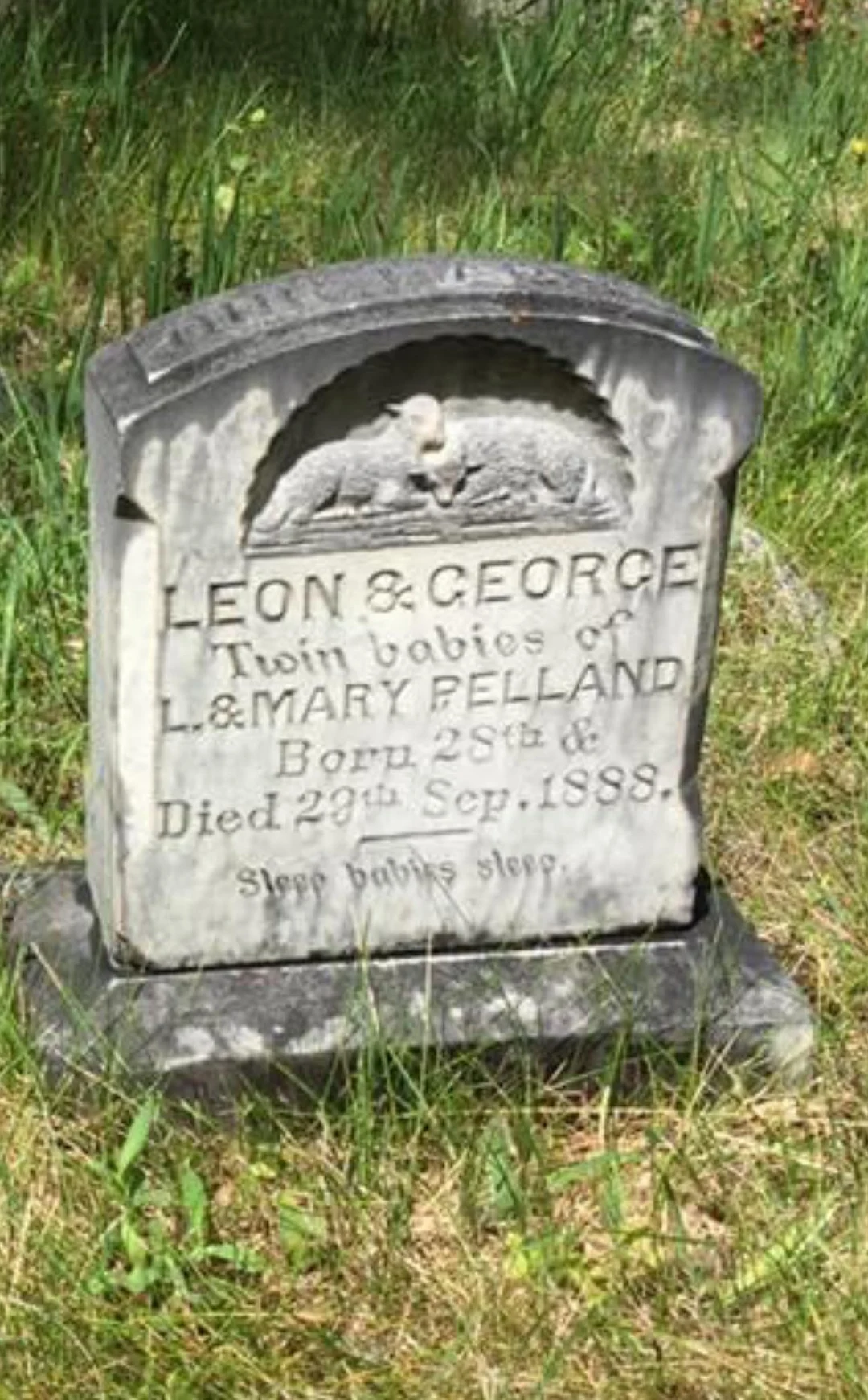 Aspen, CO | Scrolller