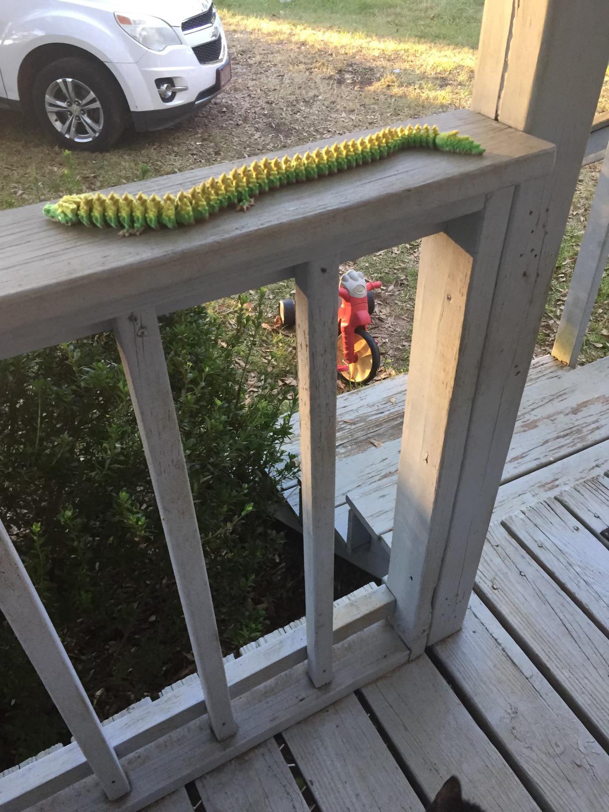 What is this creature? | Scrolller