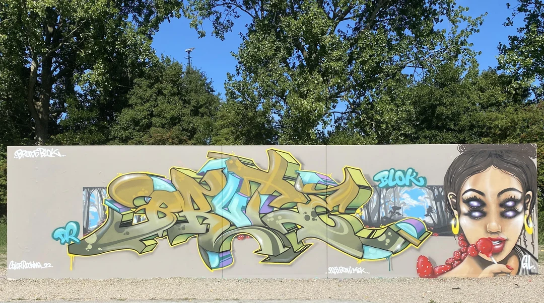 Graffiti Wall in Holland Made by Brute | Scrolller