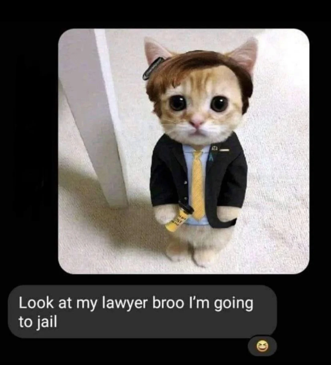 Guilty as charged | Scrolller