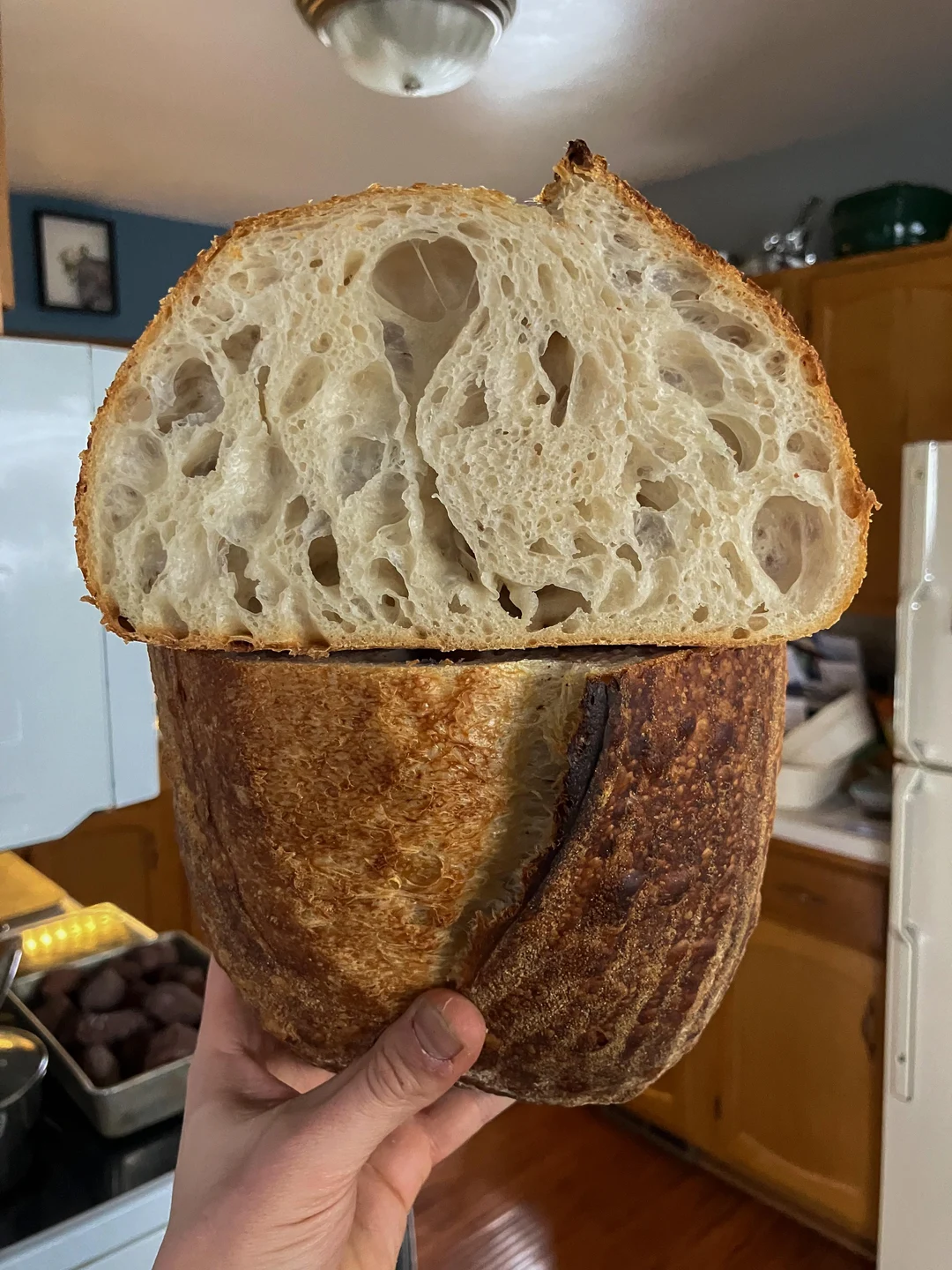 Dutch Oven Vs. Open Bake? | Scrolller