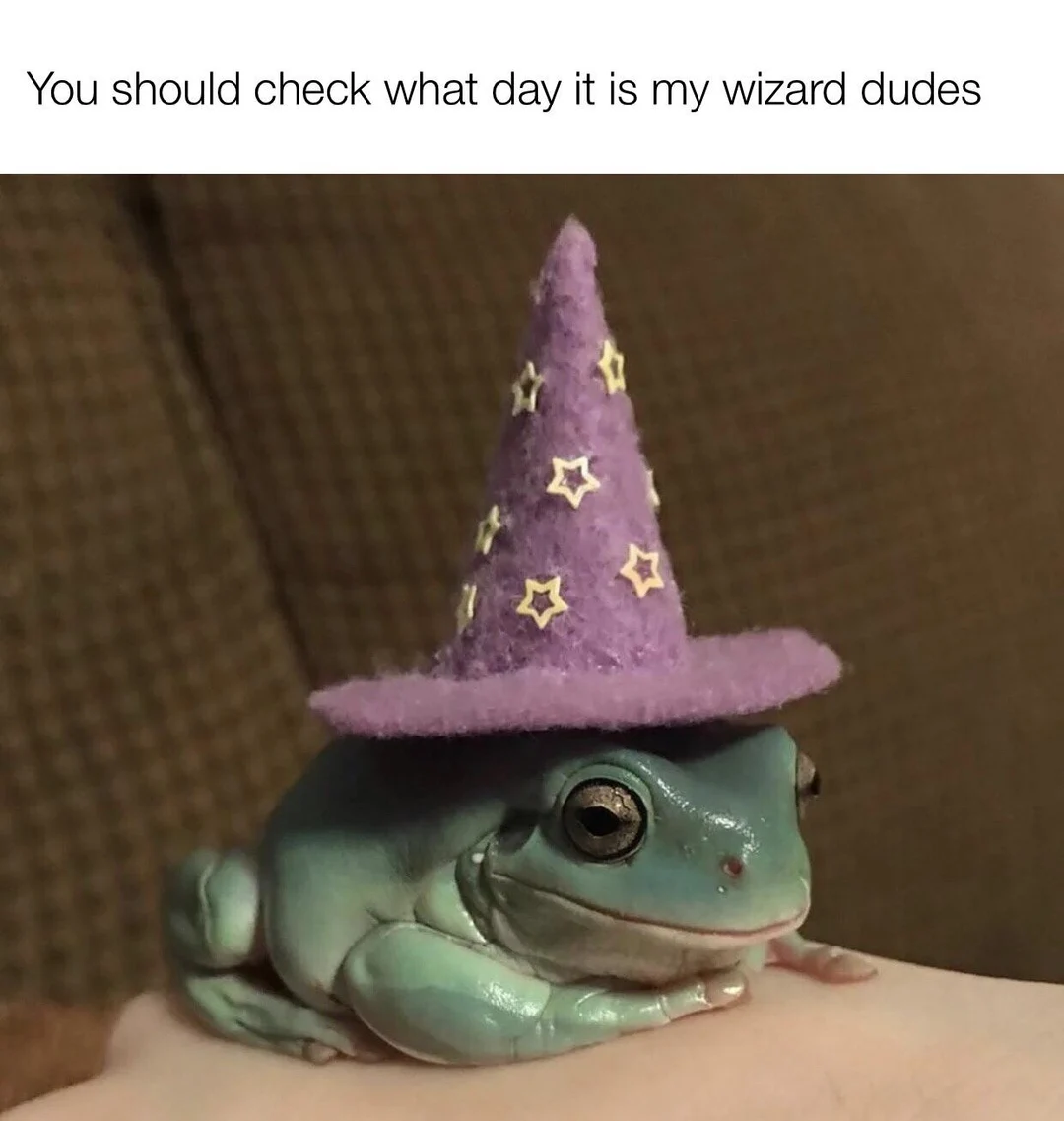 You really should | Scrolller