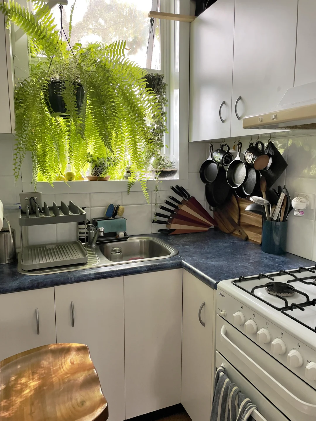 I see all these beautiful kitchens here, so here’s my ‘galley’ | Scrolller