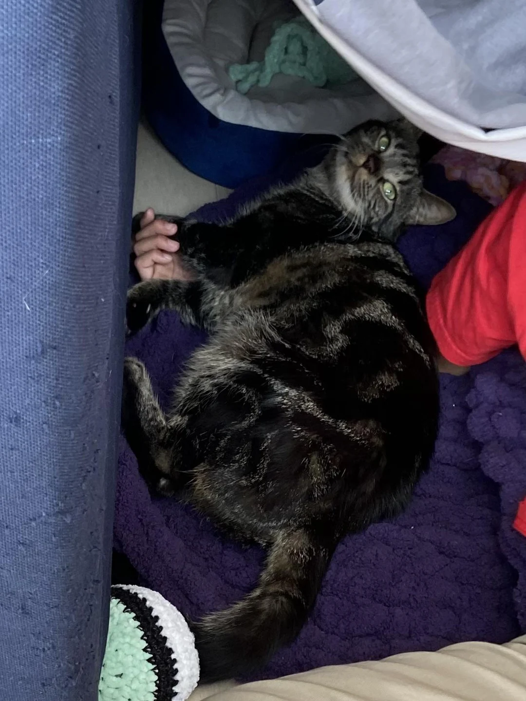 Caught an extra one in the trap. | Scrolller