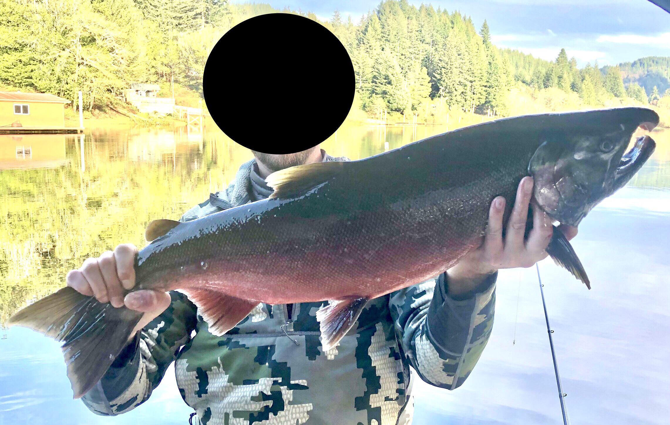 Big Coho Buck | Scrolller
