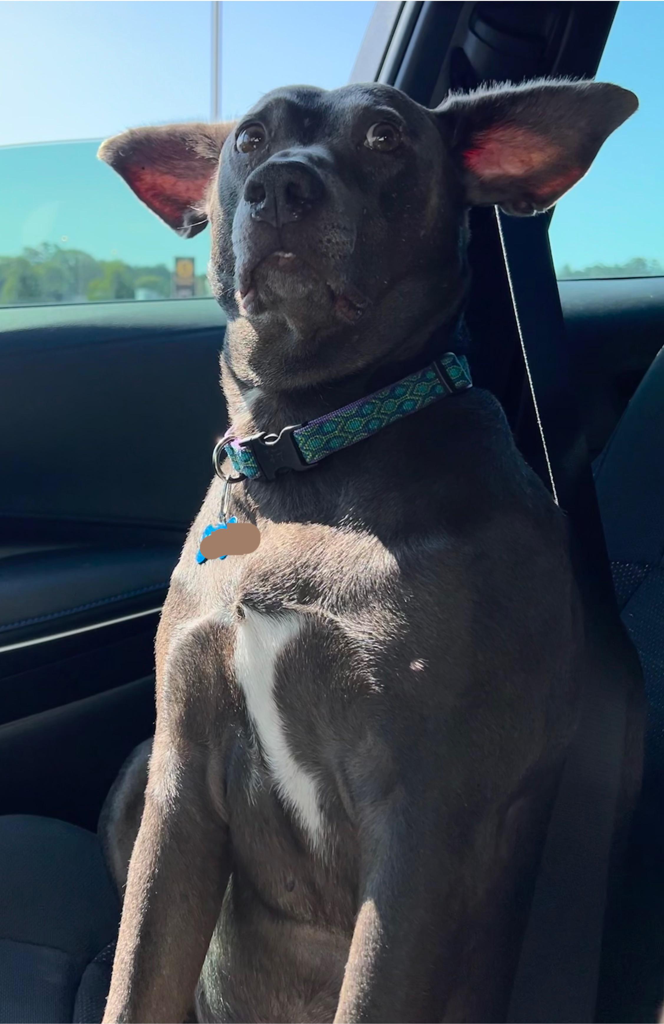 Show me those derpy faces! | Scrolller