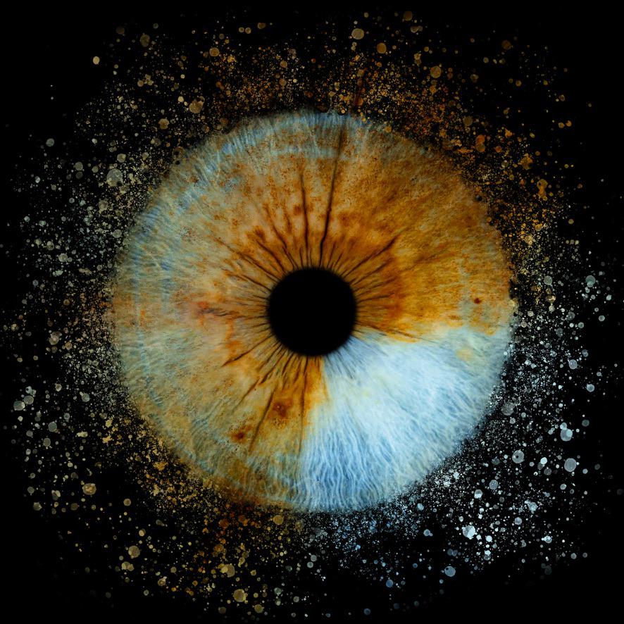 if u haven't had a pic taken of ur iris yet ... get it done!! | Scrolller