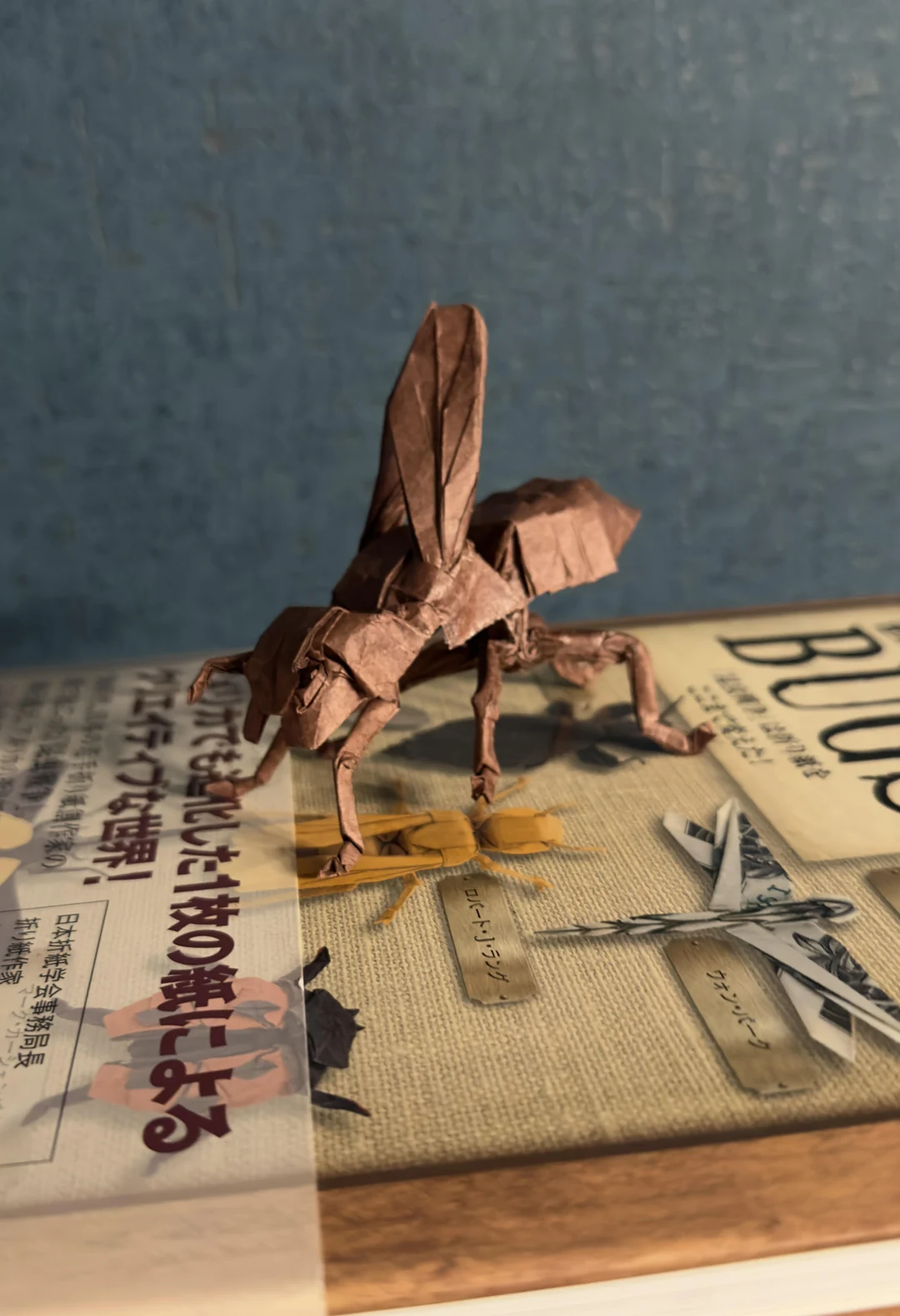 Origami yellow jacket wasp, designed by Robert J Lang and folded by me, one uncut 35cm per side ...