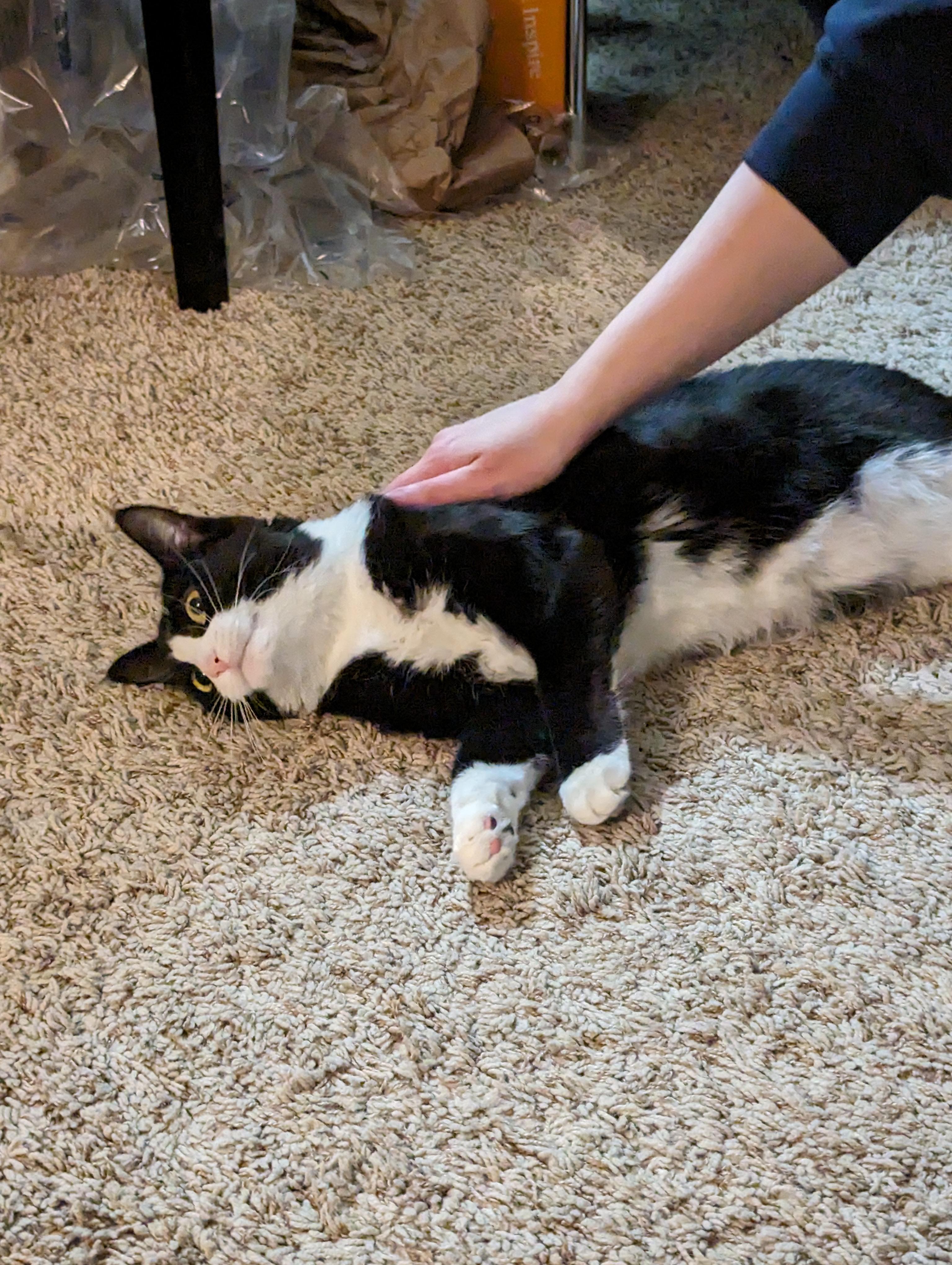 Freya questions her place in this world | Scrolller