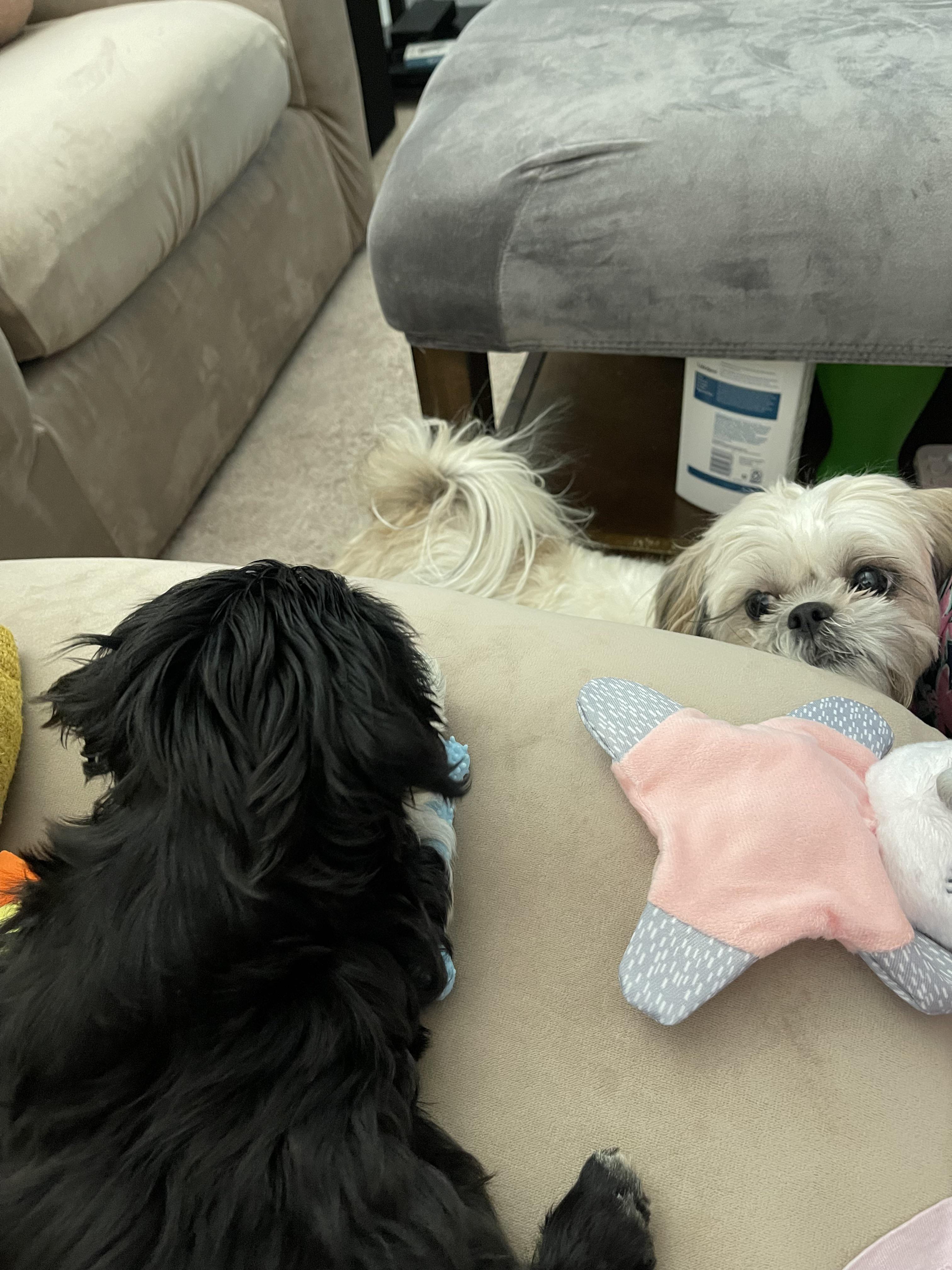 “Why is she in my spot, Mom?” | Scrolller