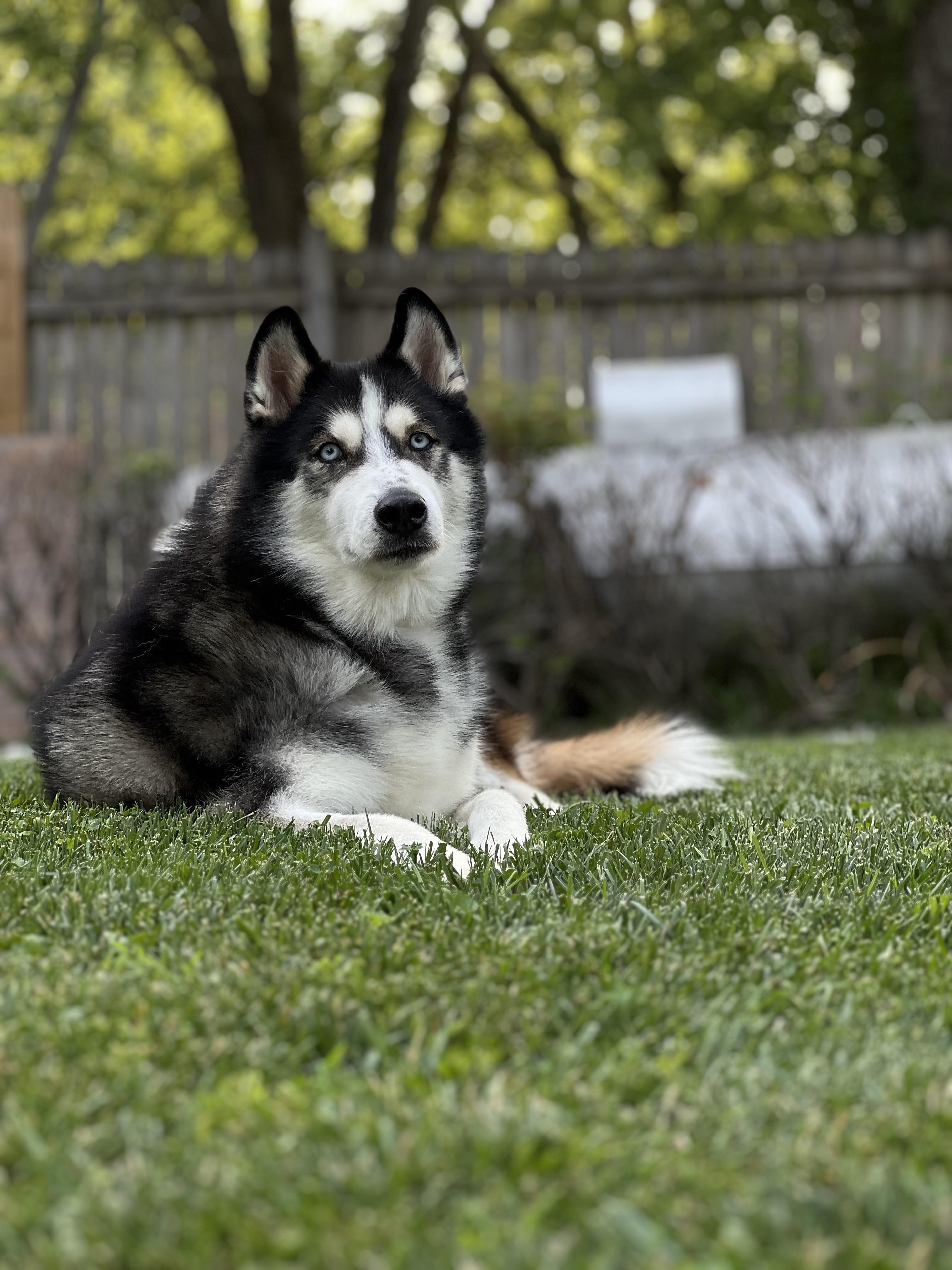 Old man, Max. | Scrolller