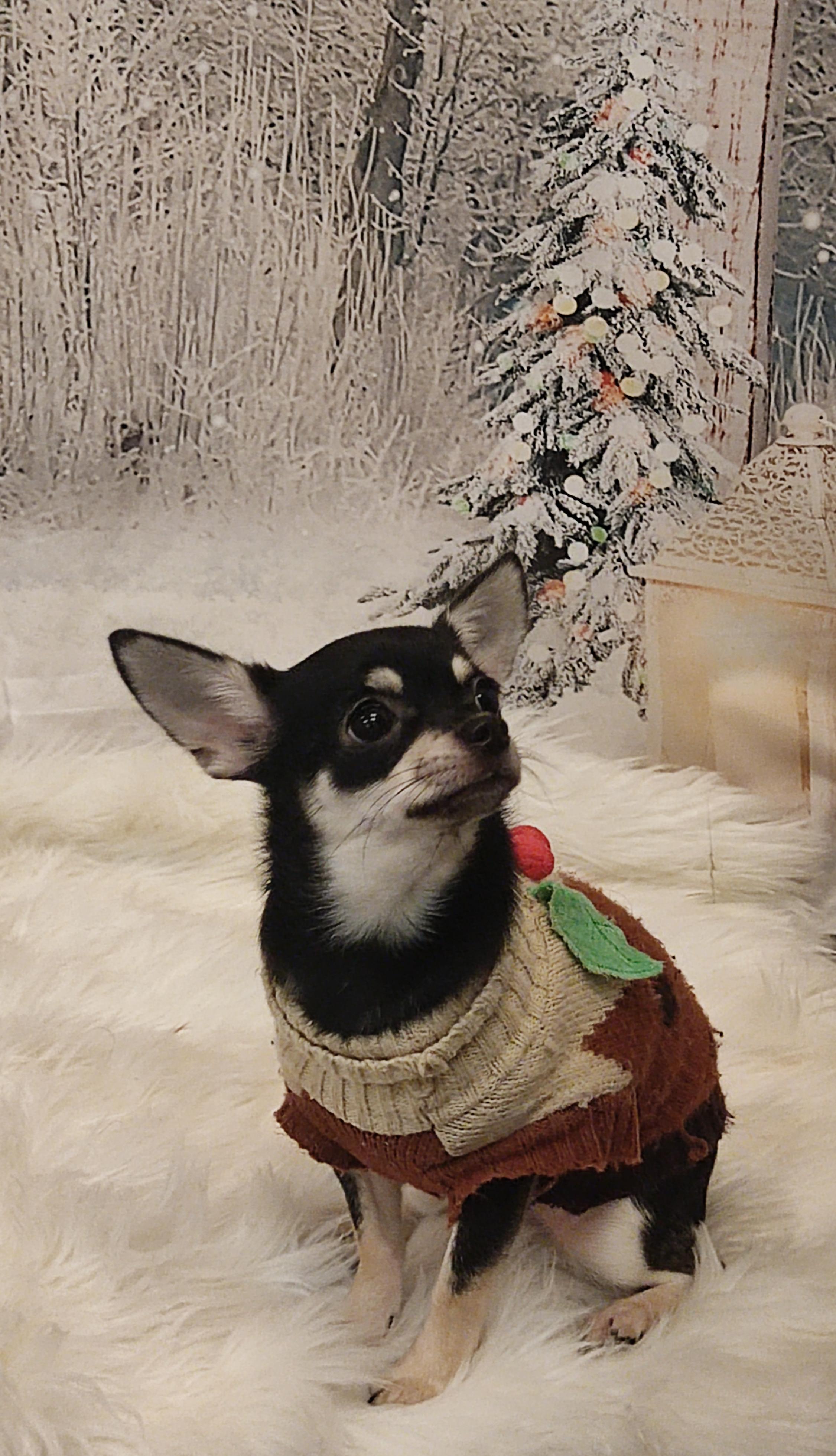 School picturess are so embarrassing!! | Scrolller