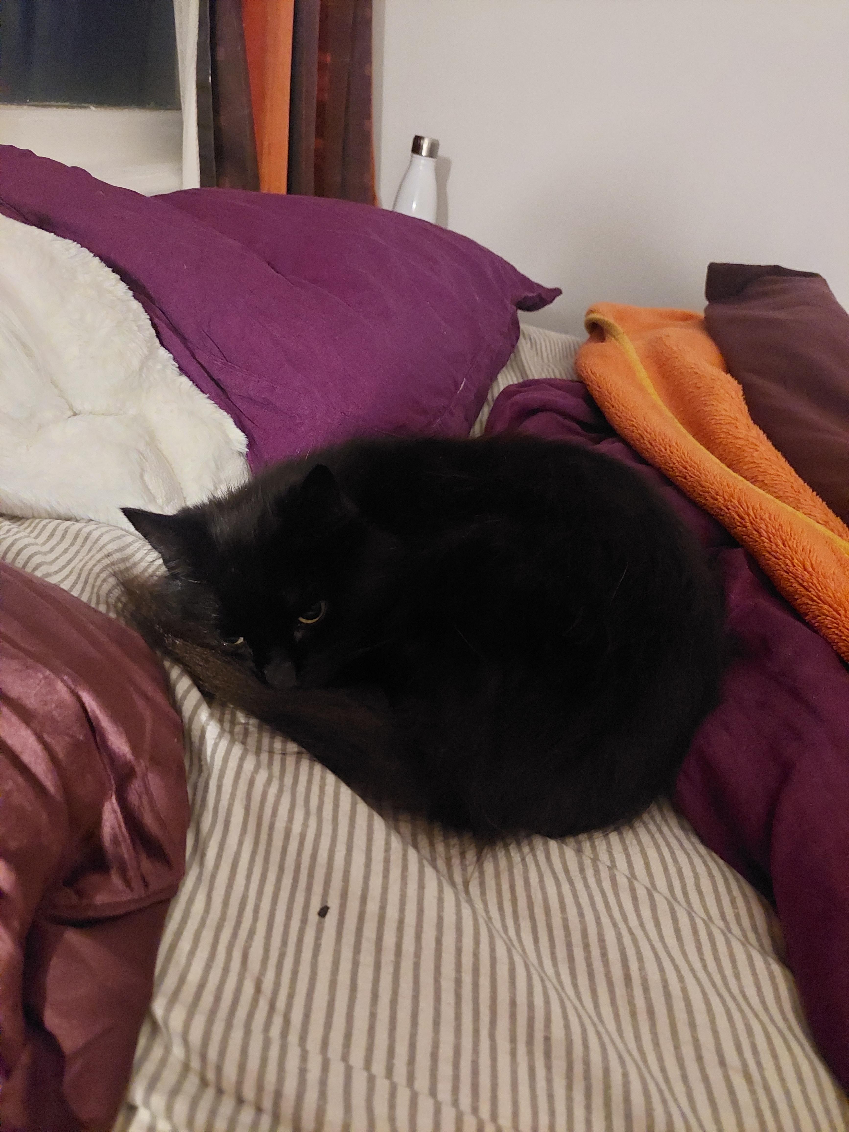 Void with eyes | Scrolller