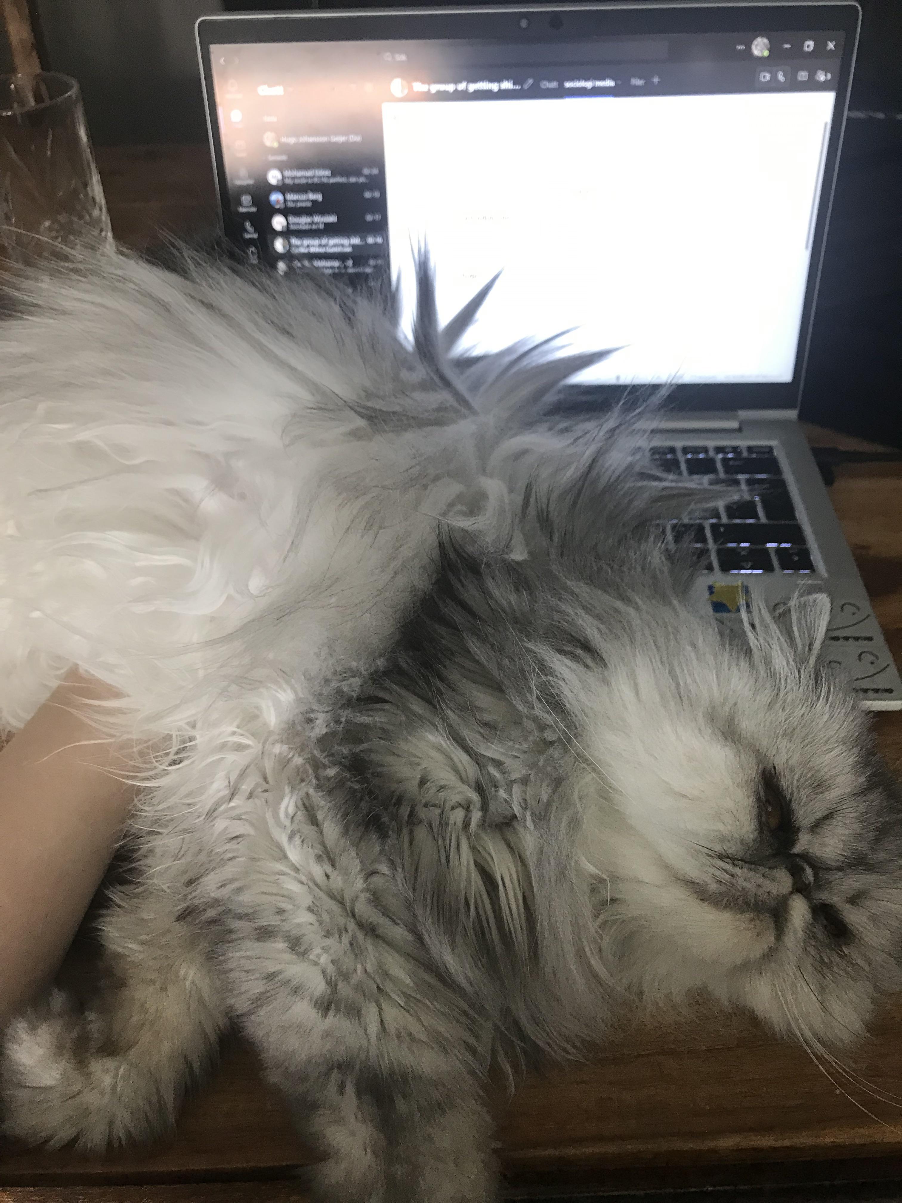 My arm is stuck | Scrolller