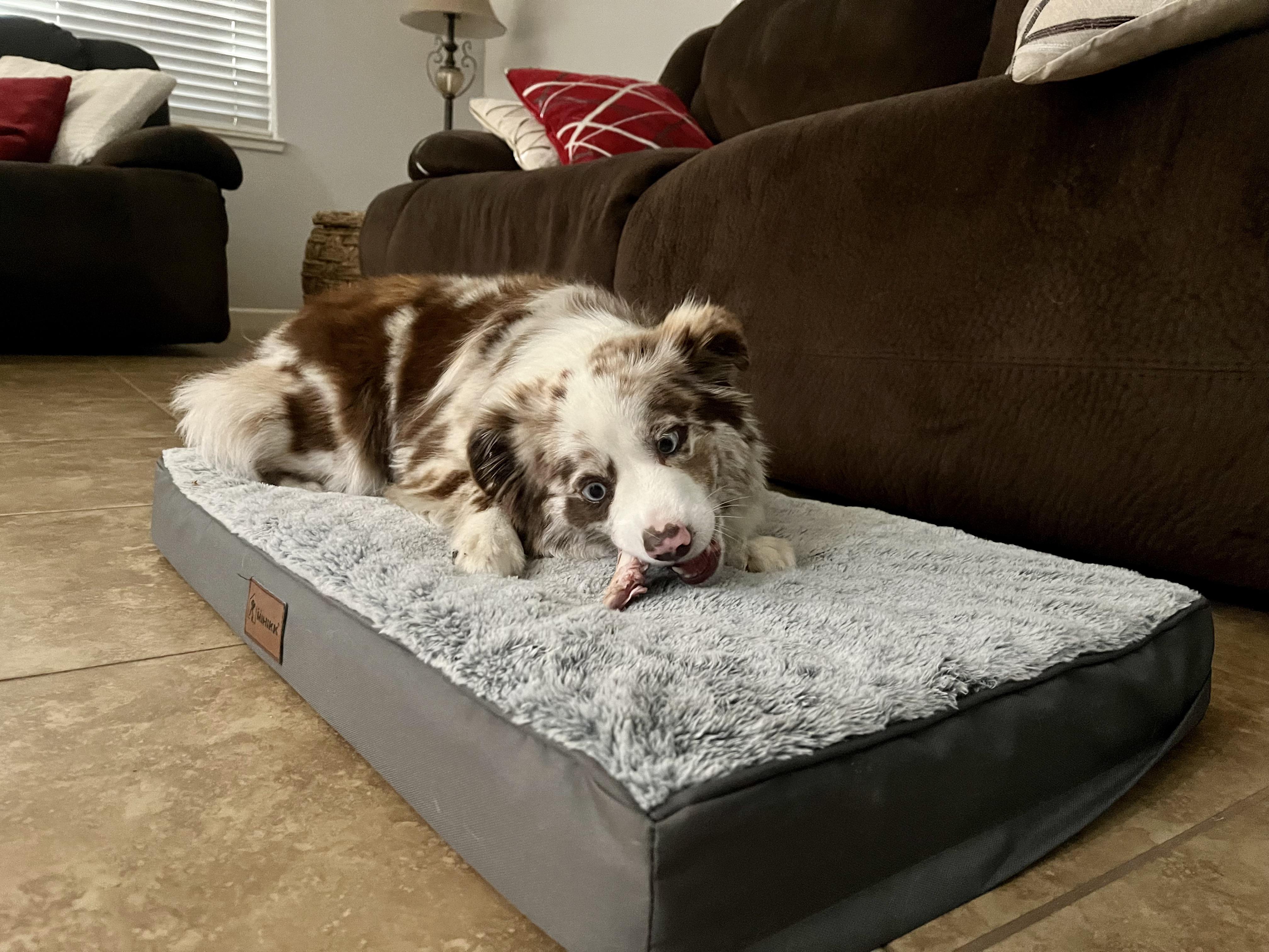 Discover more like Steak: Made a Steak Salad and Related Content | Scrolller