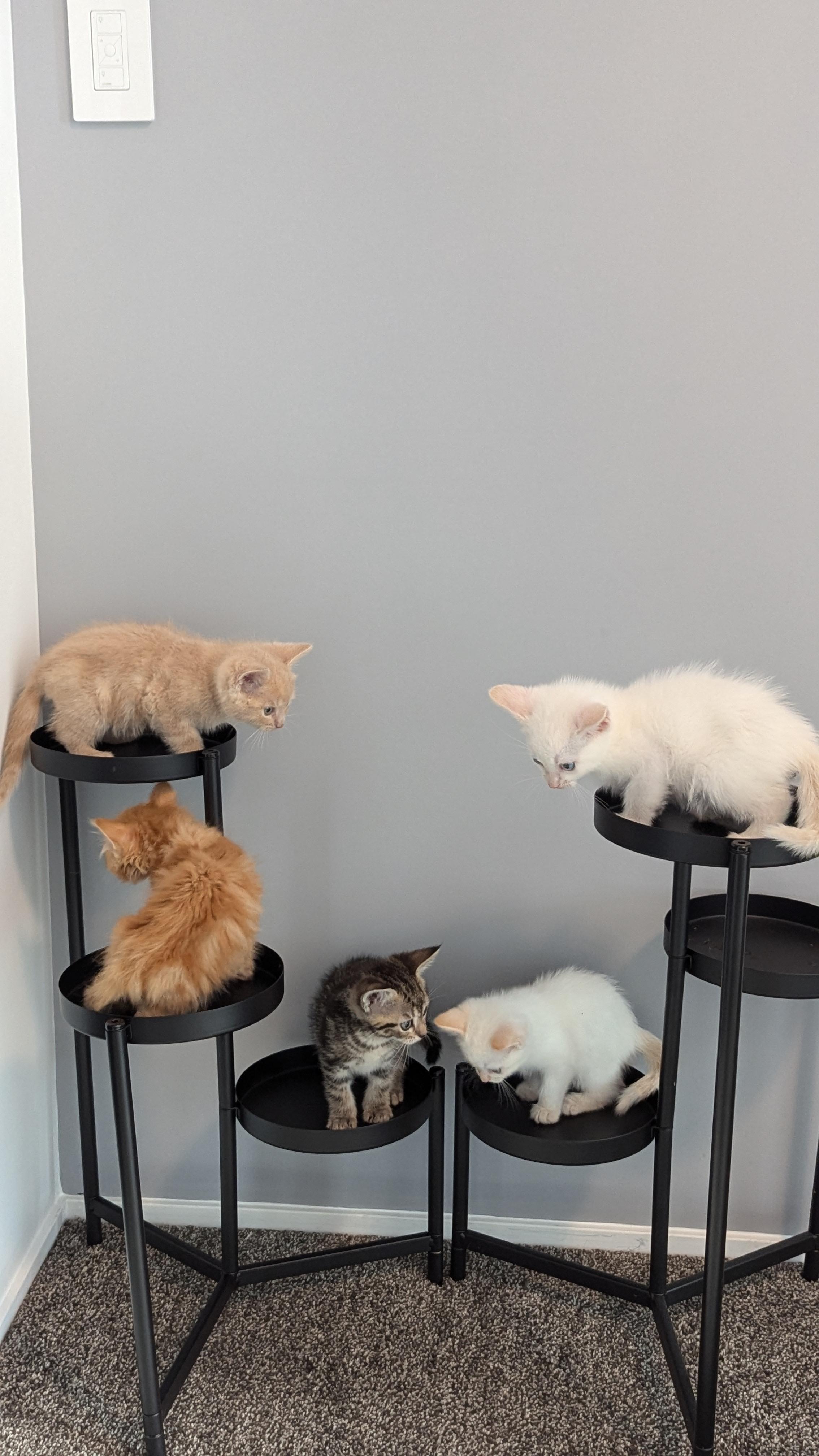 Discover more like Aww: Plants? and Related Content | Scrolller