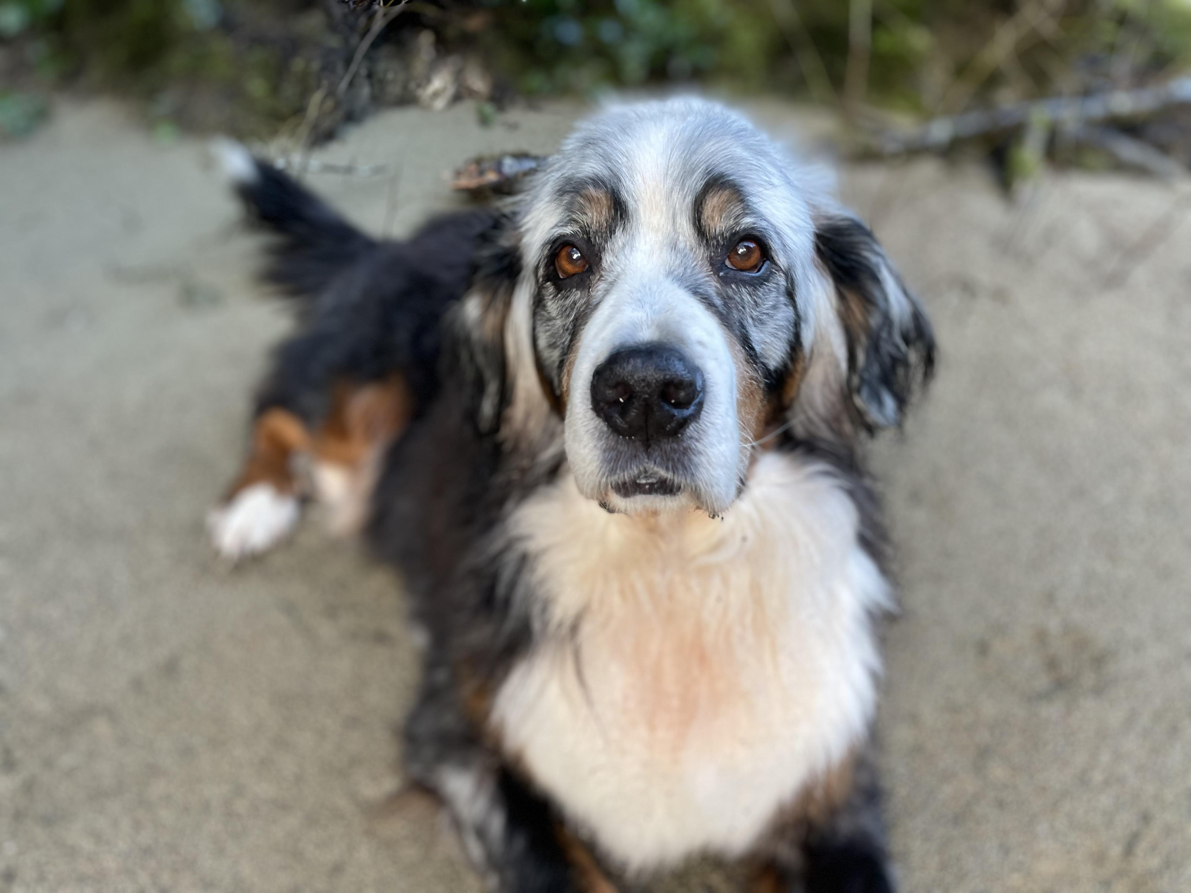 Utah (10) | Scrolller