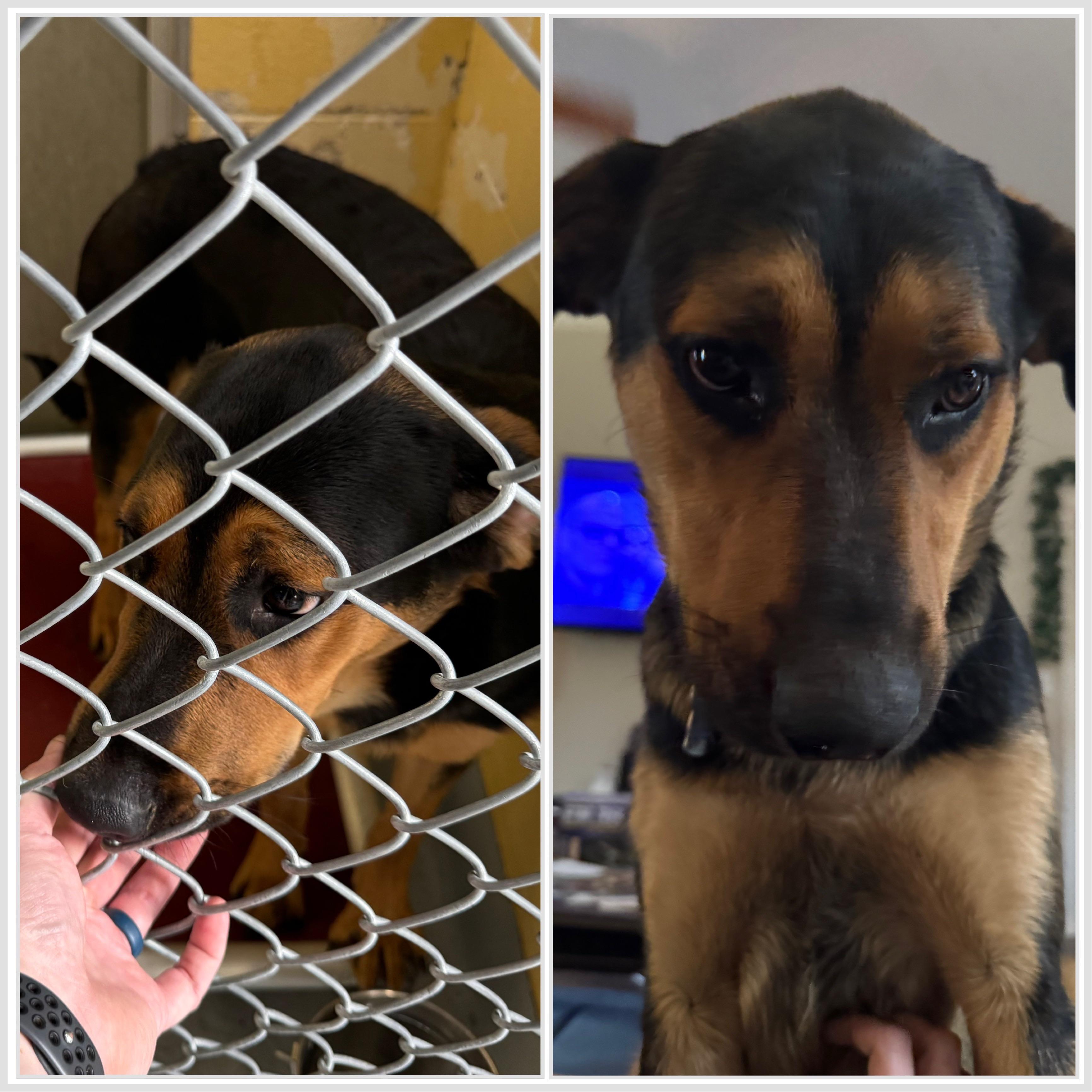 Seven months and counting! | Scrolller