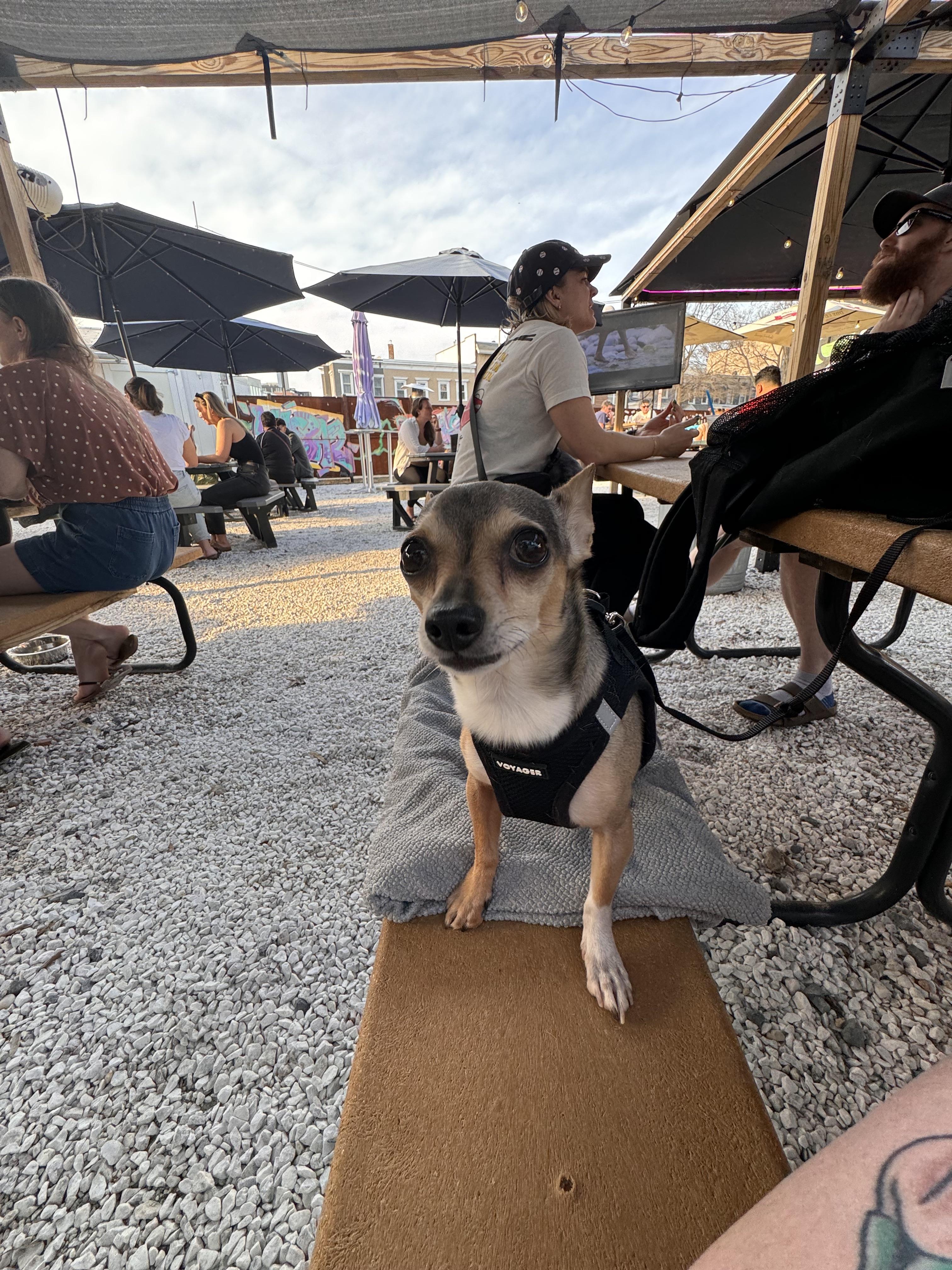 Hank is my best friend | Scrolller