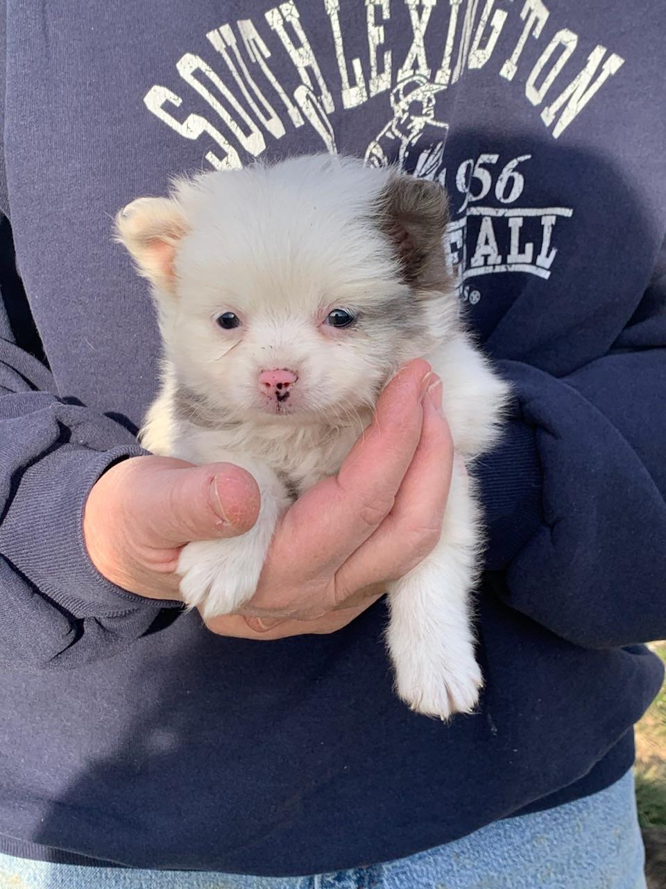 Why is her nose changing colors | Scrolller