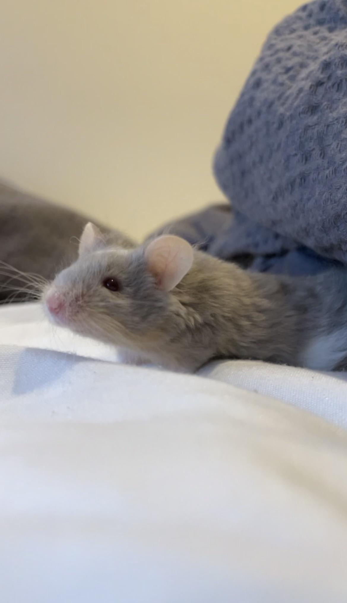 Absolute models | Scrolller