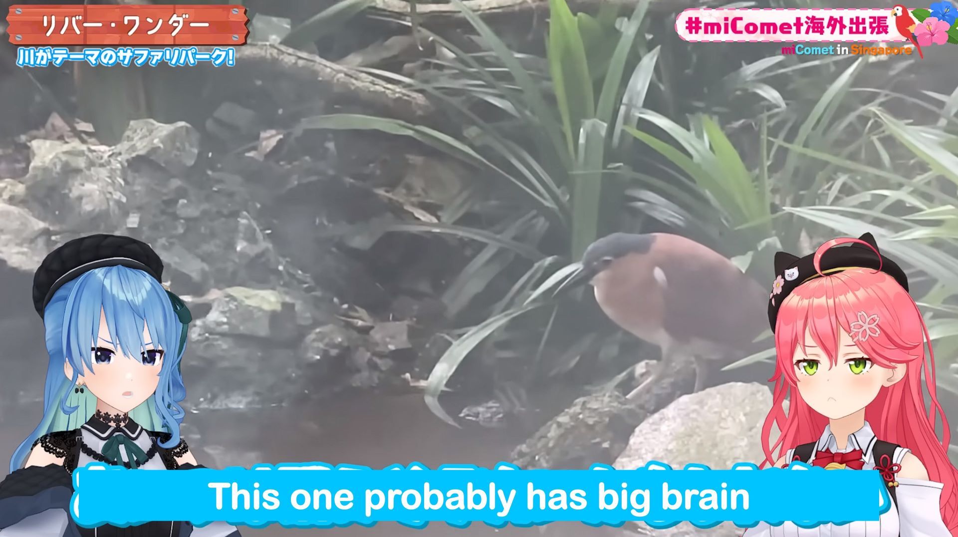 Micomet vlog screenshots without context | Scrolller