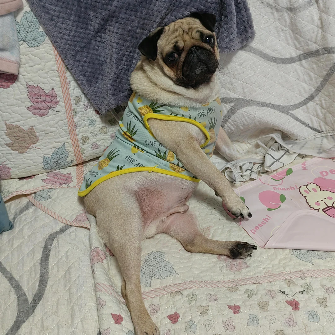 Hey, bro. Your sitting position is really special. | Scrolller