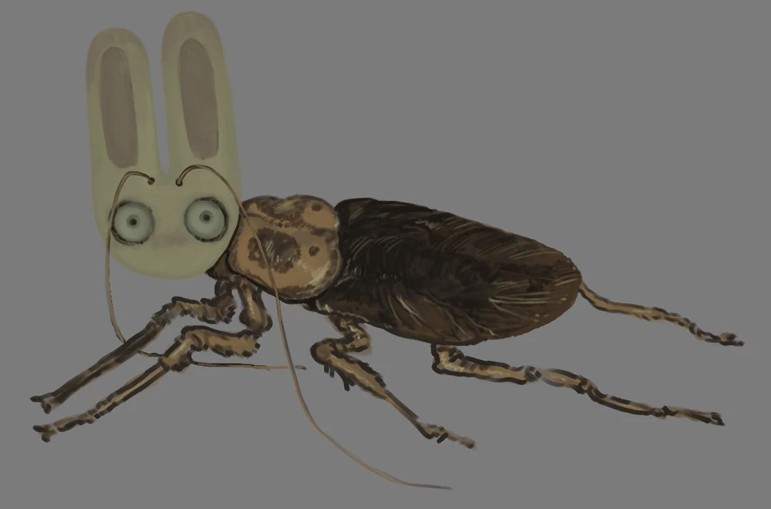 bunny cockroach | Scrolller