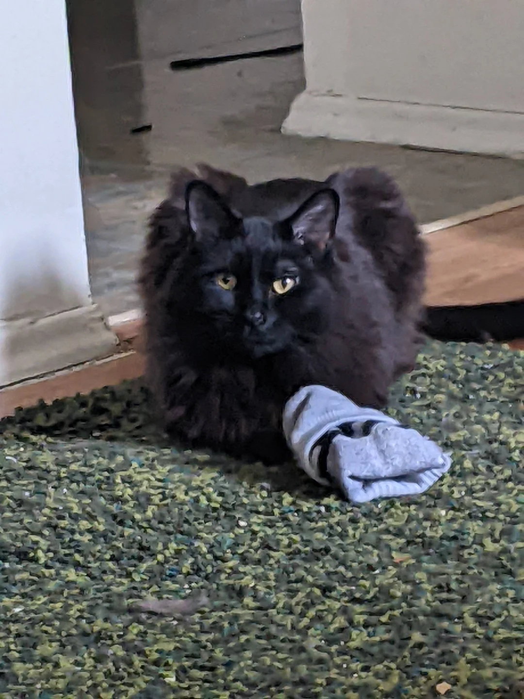 The Mighty Hunter Poses with his Trophy | Scrolller