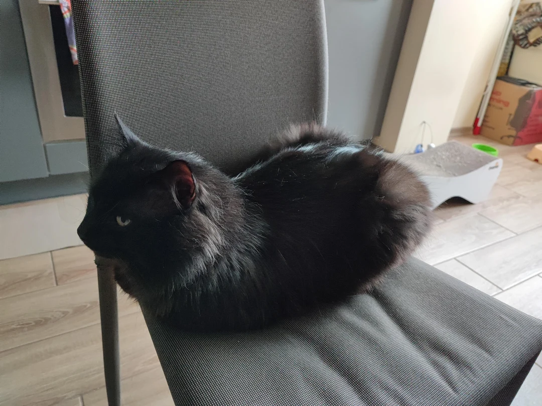 Serious loaf | Scrolller