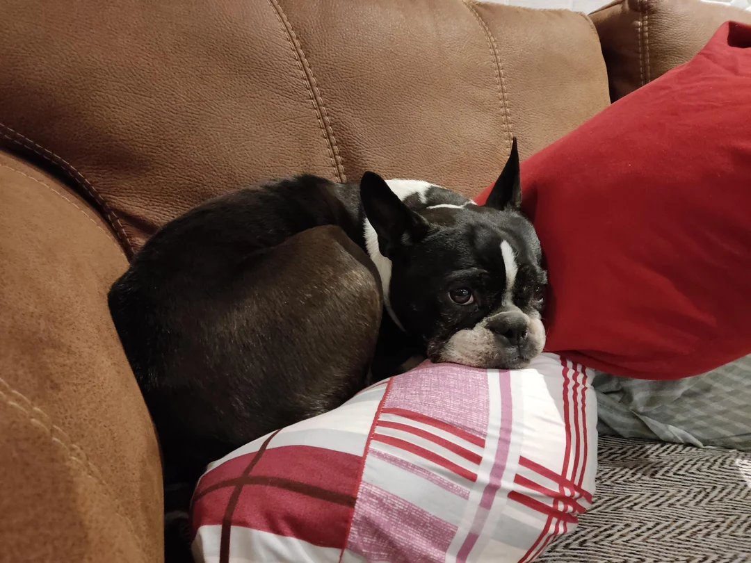 I think she's having an existential crisis | Scrolller