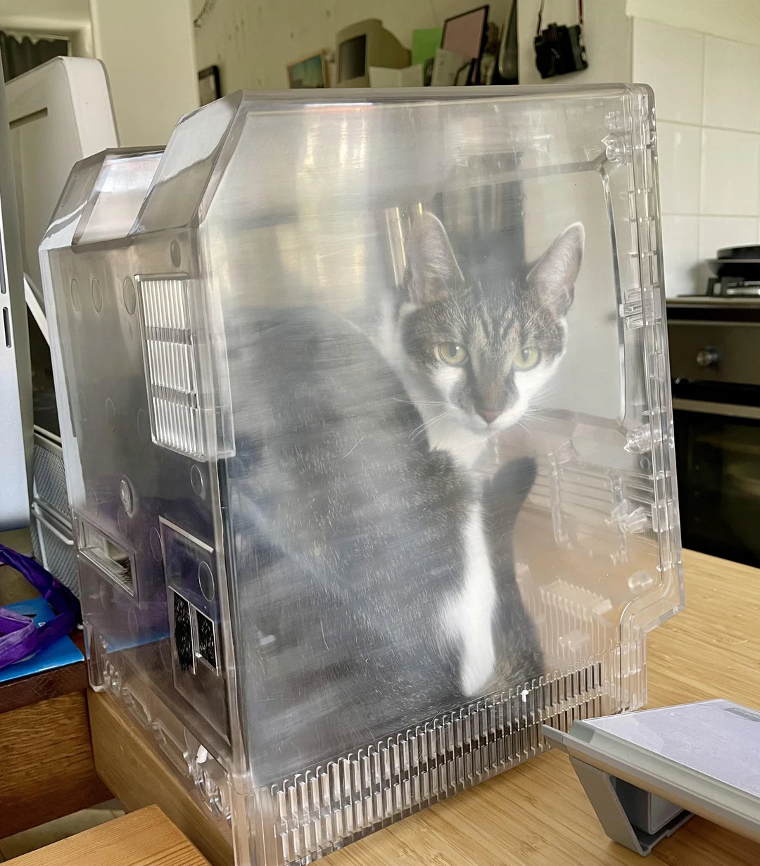 Working as expected | Scrolller