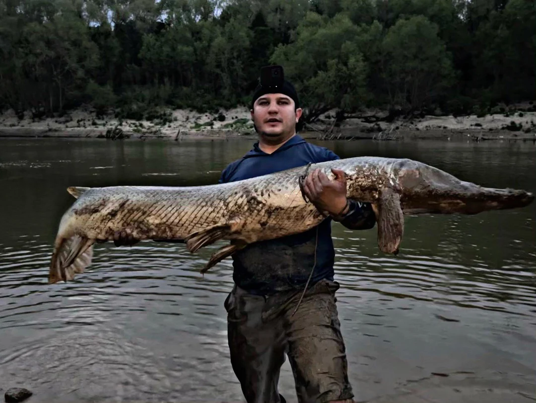 Muddy river monsters | Scrolller