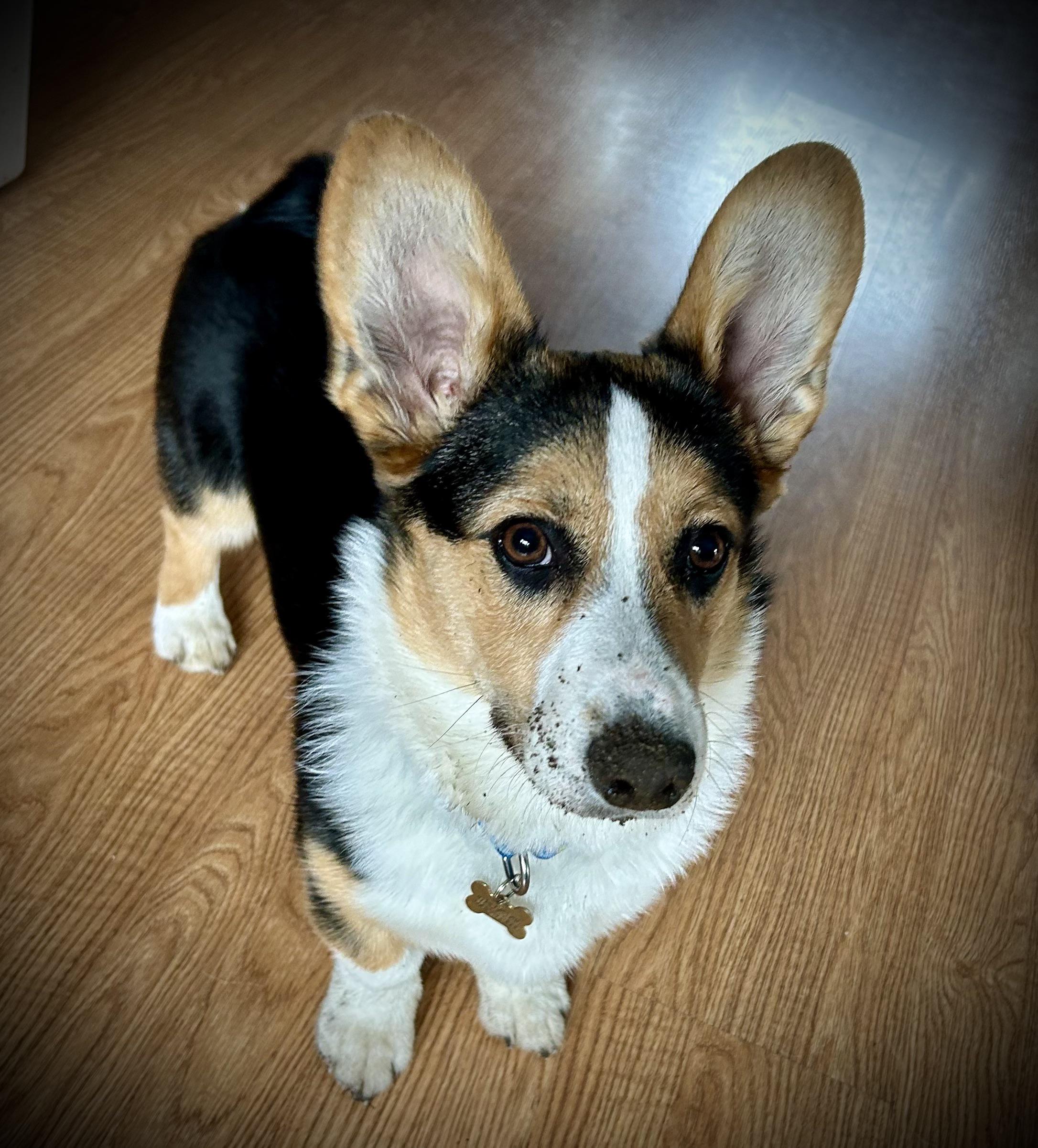 We’ve got a digger, everyone. | Scrolller