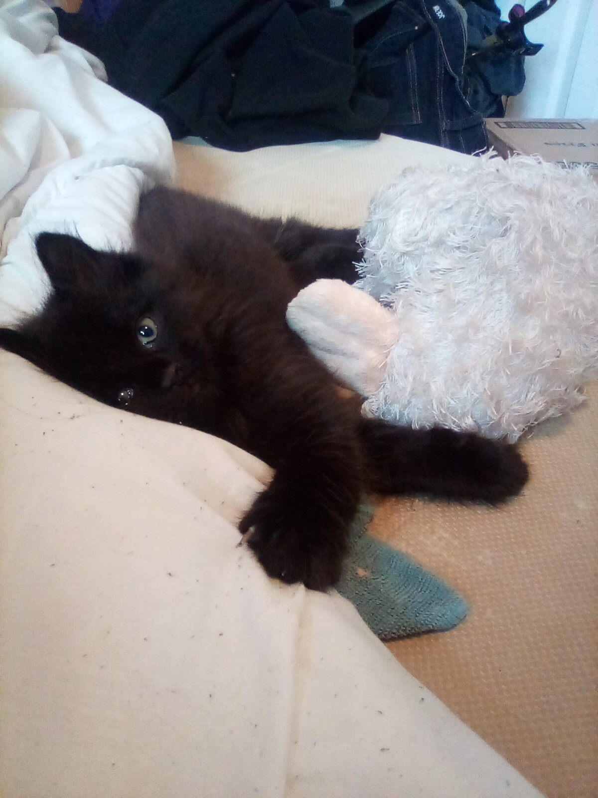 Meet pete moss! | Scrolller