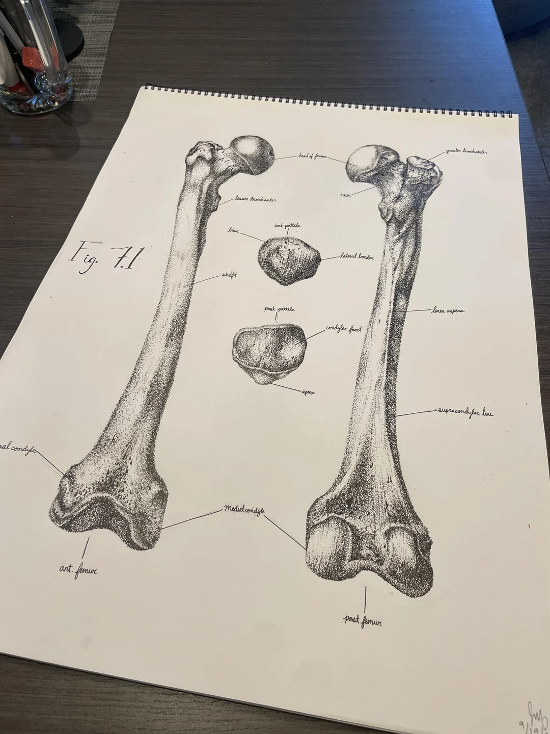 Anatomy Lesson, jmtayl32, stipple, 2023 | Scrolller