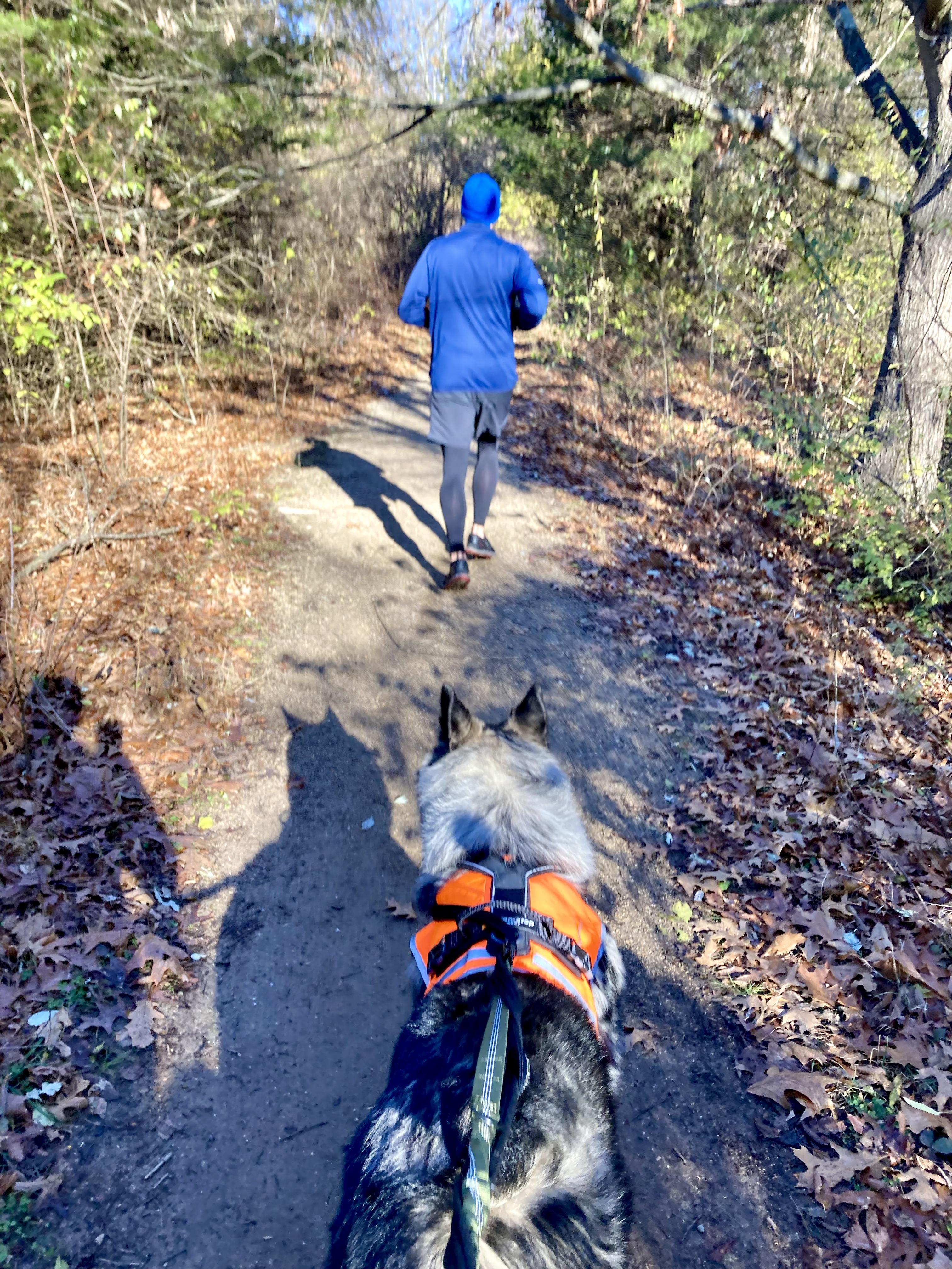 First trail run! | Scrolller