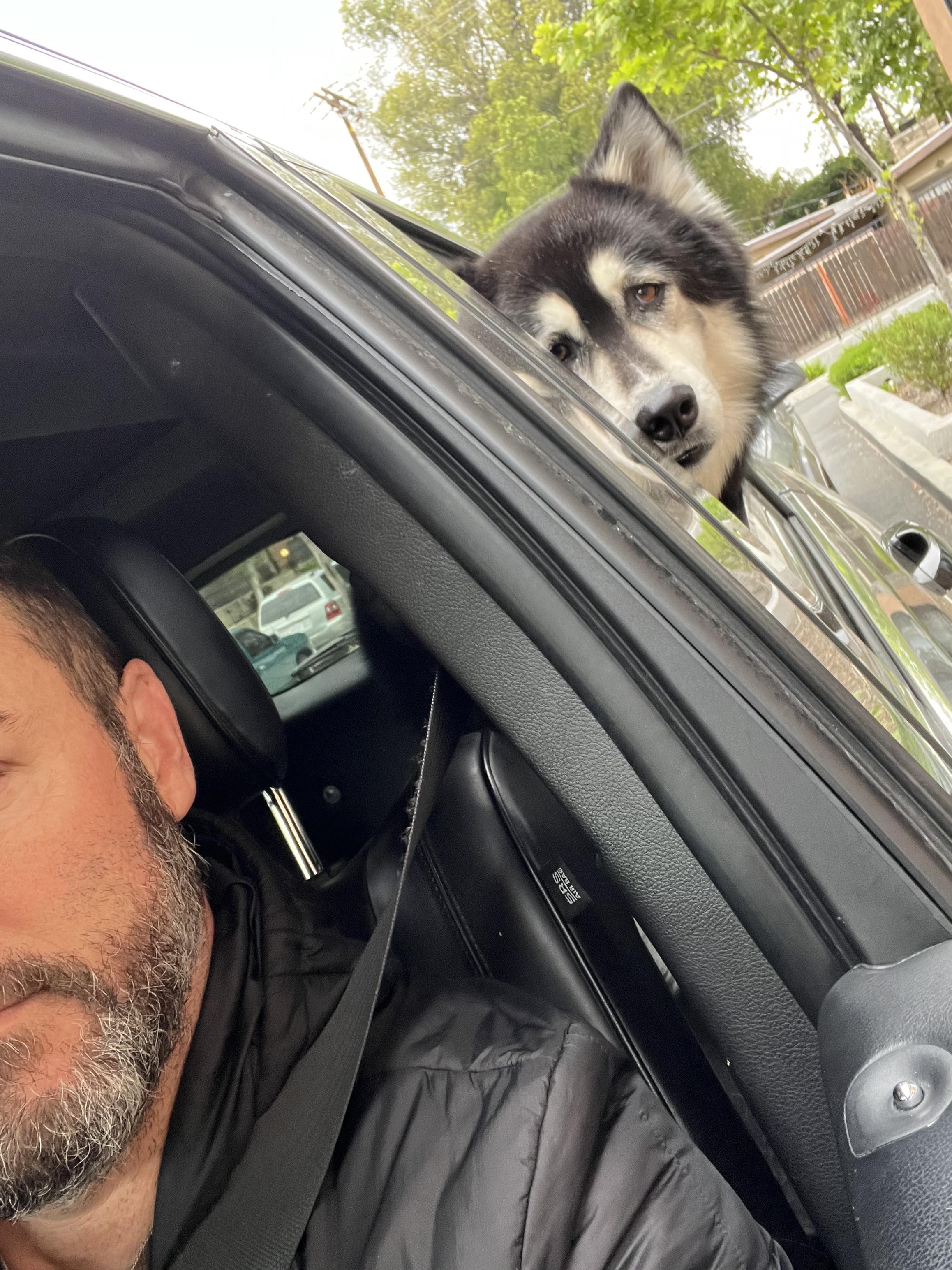 Waiting for her pup cup… | Scrolller