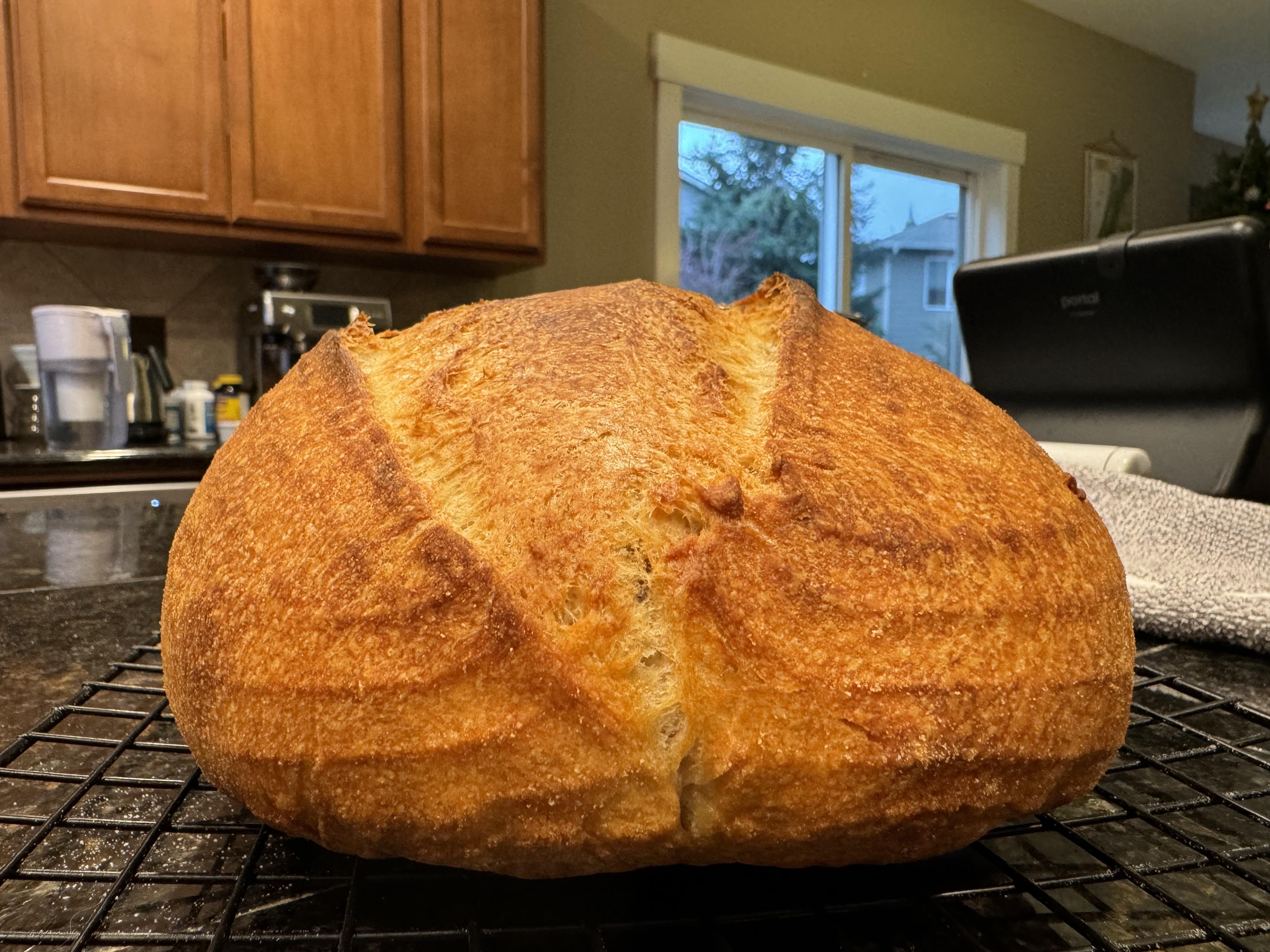 Finally got a decent rise! | Scrolller